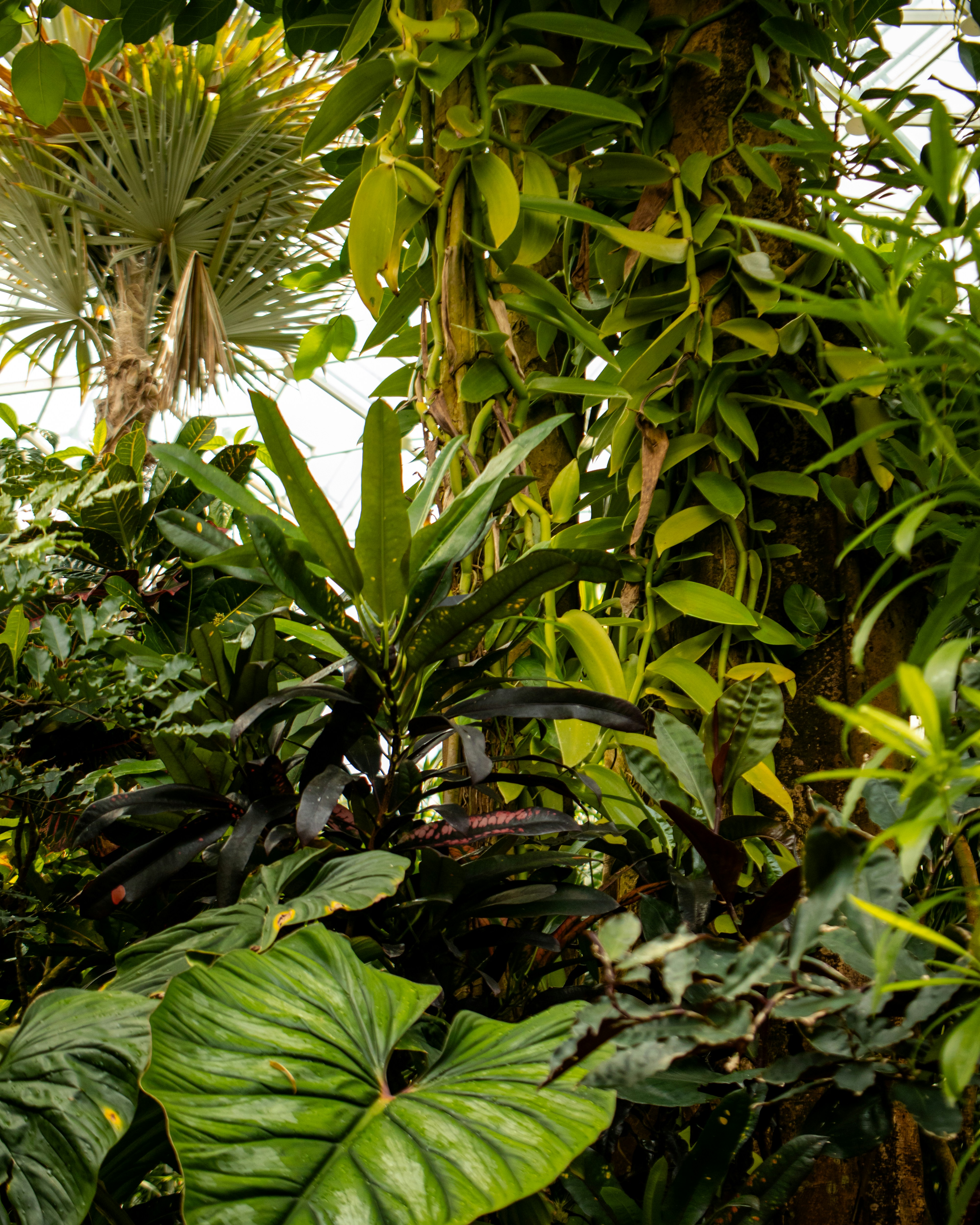 Photo by LEGENDERRY with Canon EOS R50