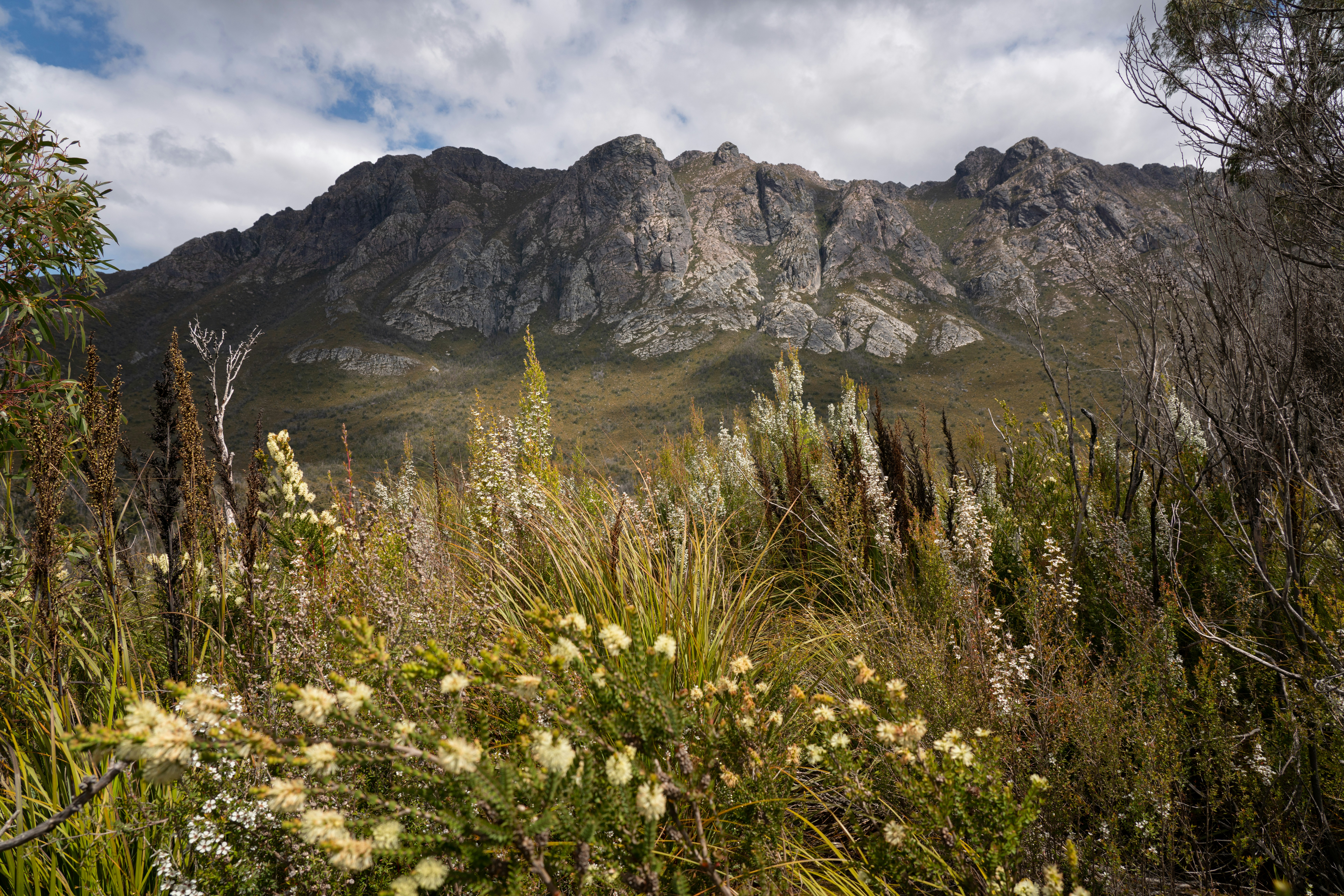 The Sentinels, Tasmania