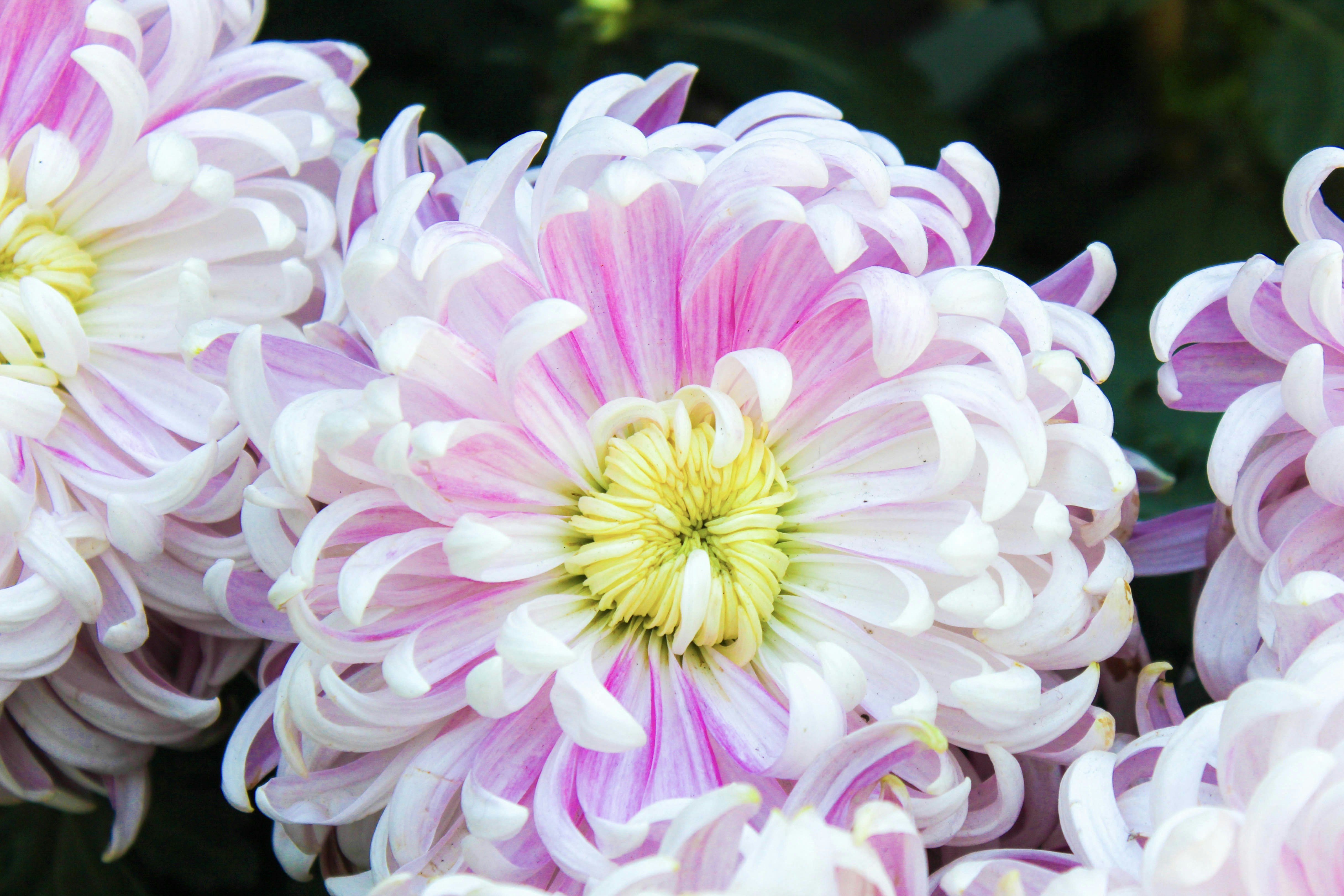 Photo by Jun Ren with Canon EOS 600D