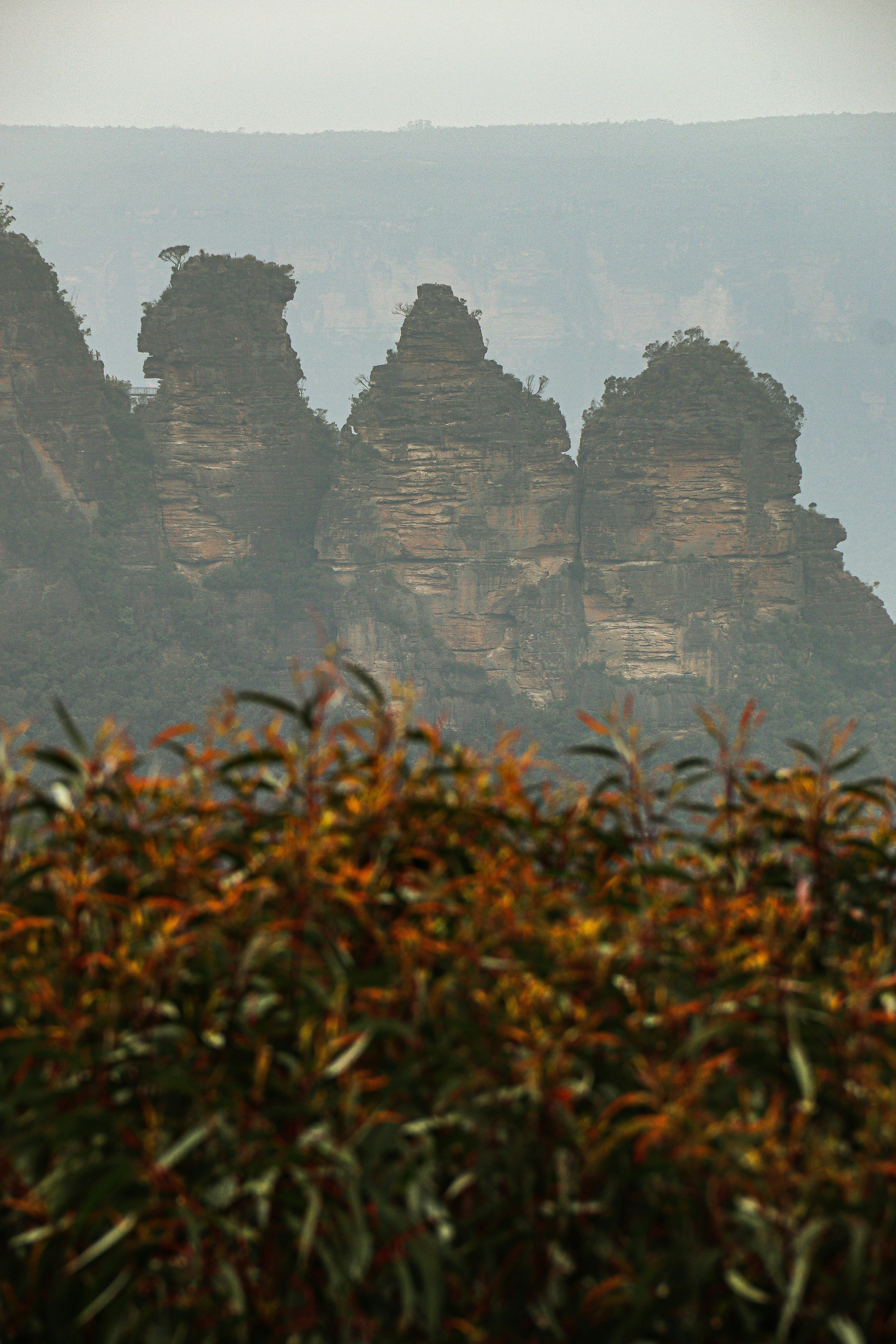 Photo by detait with Canon EOS 250D