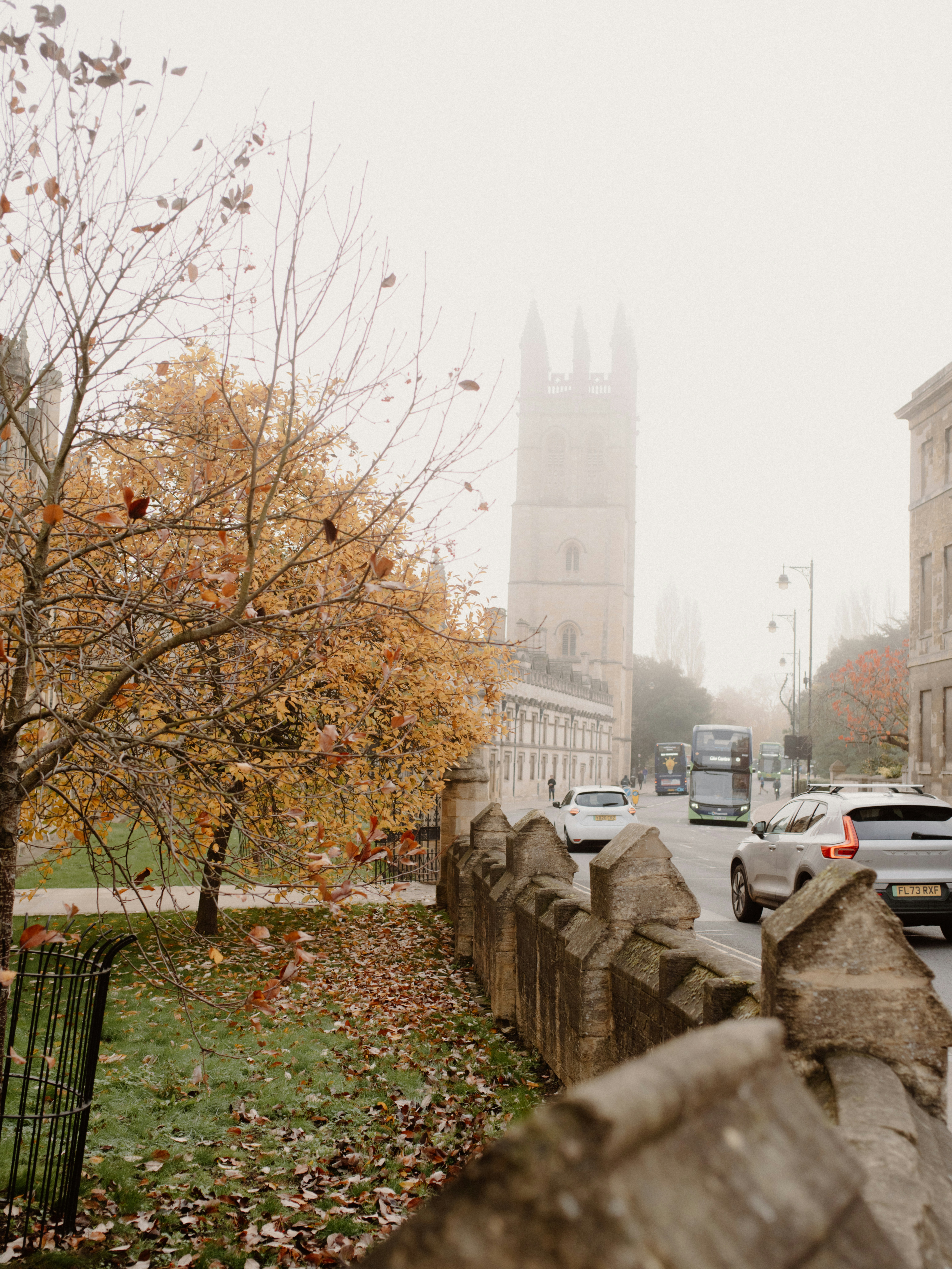 Mist over the Riverside: Autumn Trees Framing a Distant Cathedral Tower