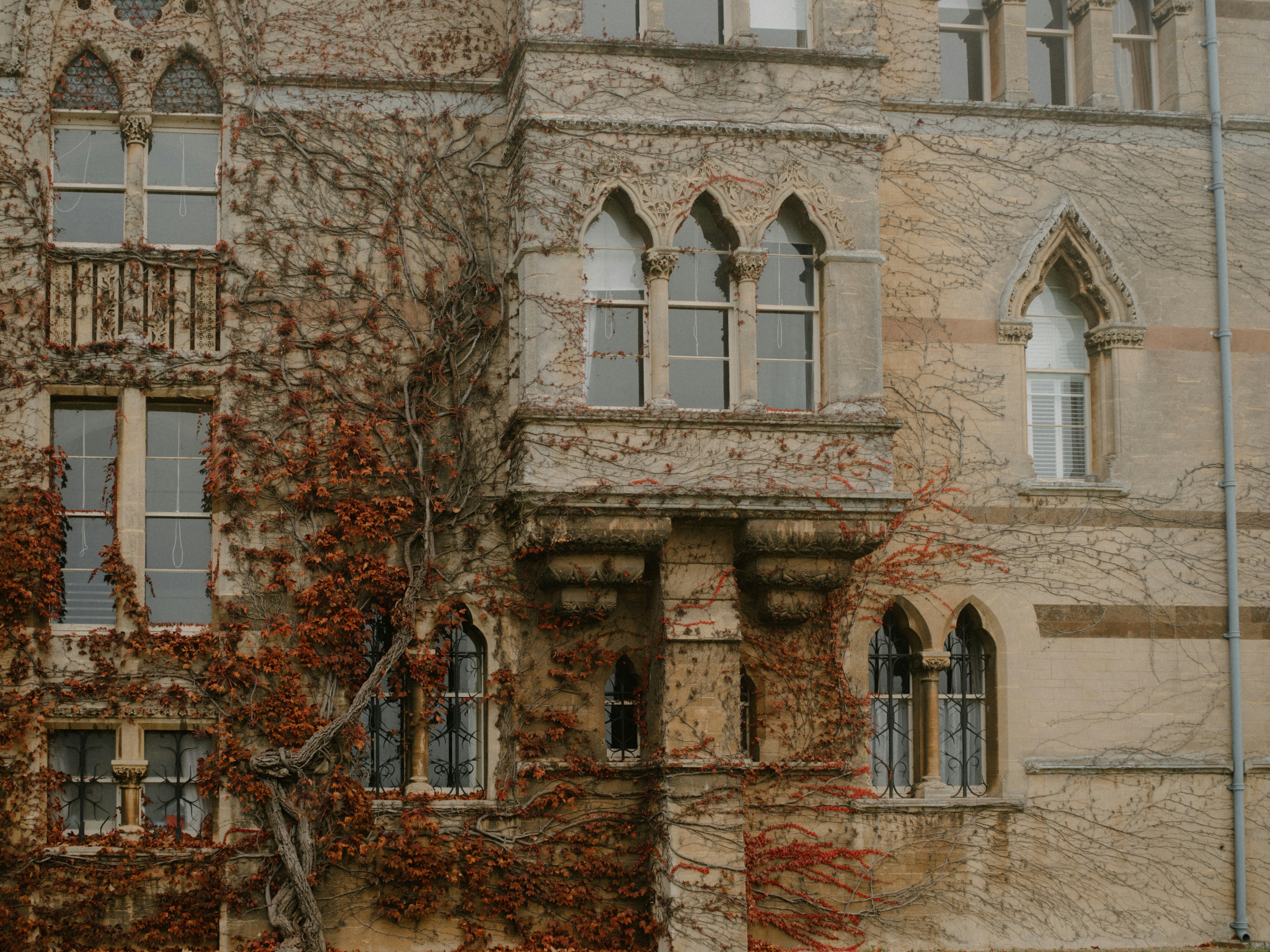 Photo by Annie Spratt with Ricoh PENTAX 645Z