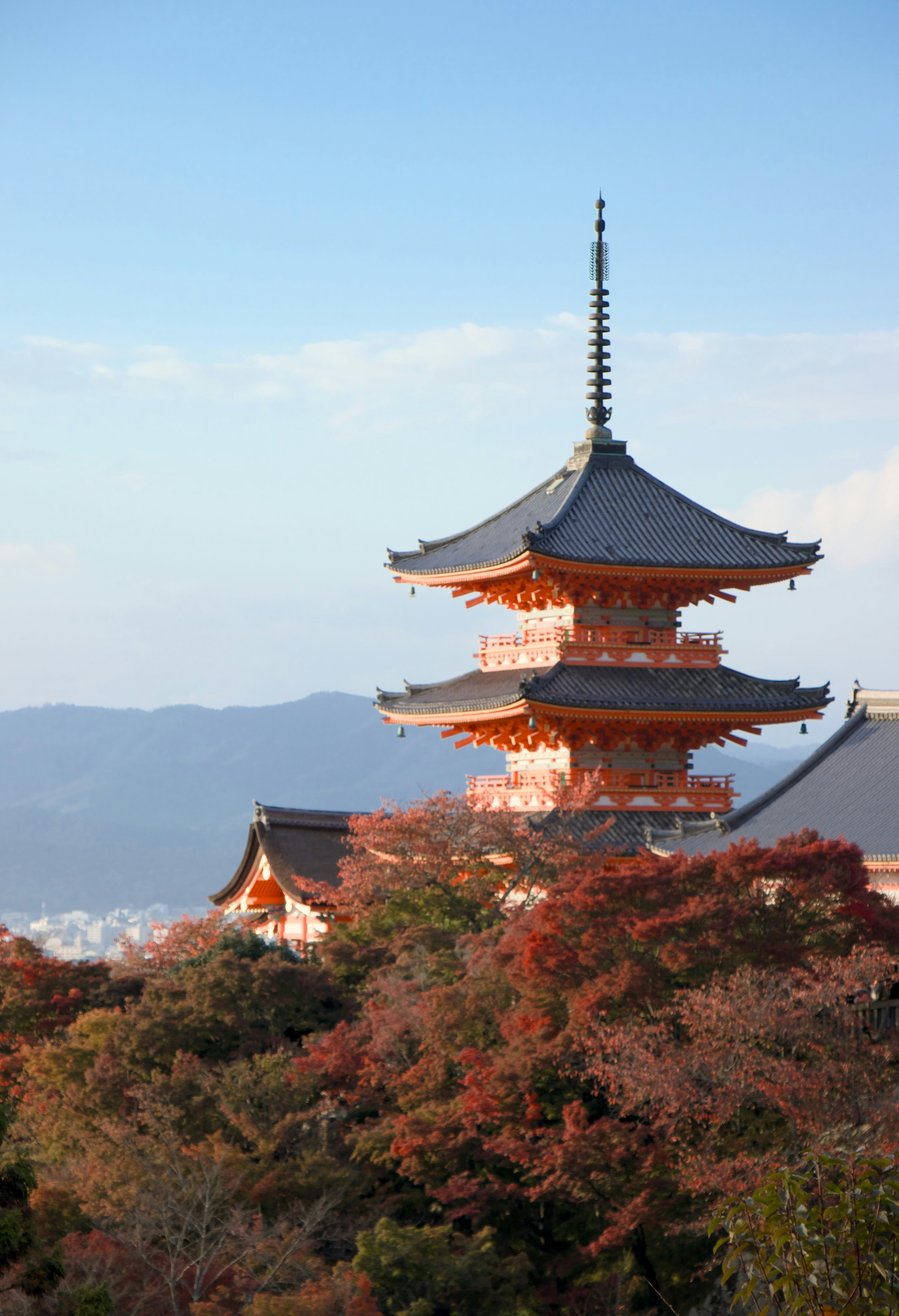 Photo by ry uu with Canon EOS 80D