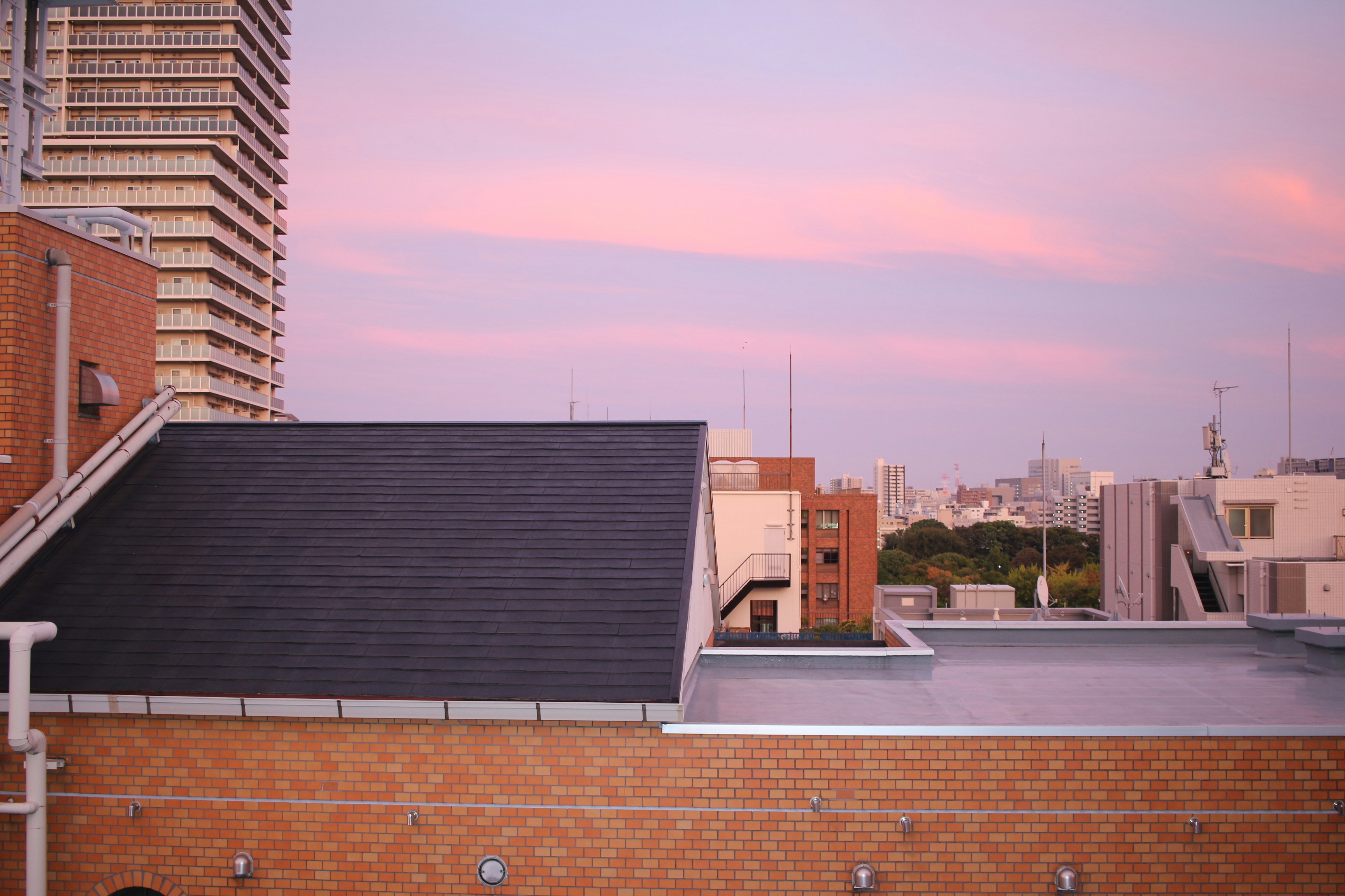 Photo by Florencia Gonzalez Bazzano with Canon EOS 700D