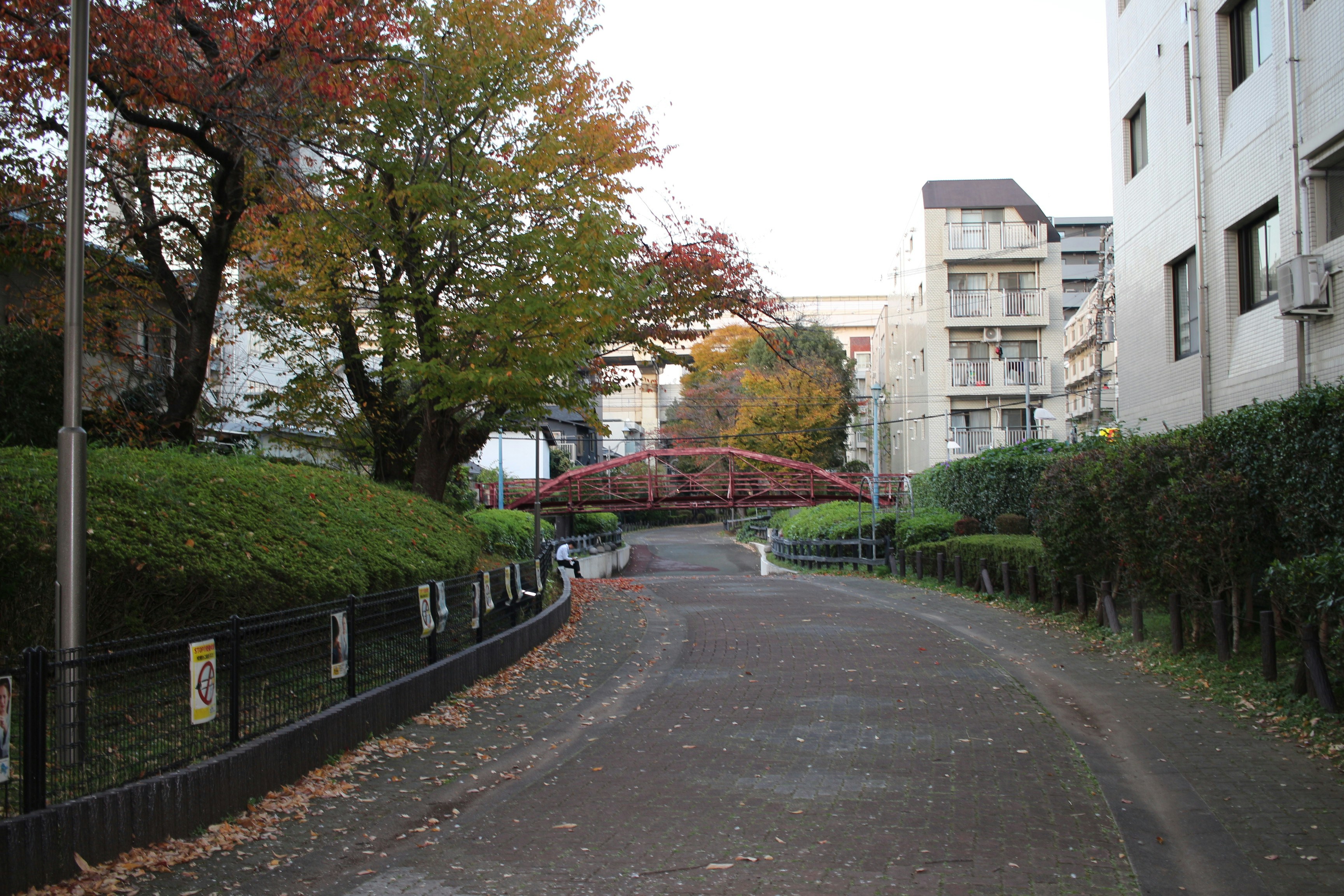 Scarlet Bridge Over a Quiet Autumn Lane