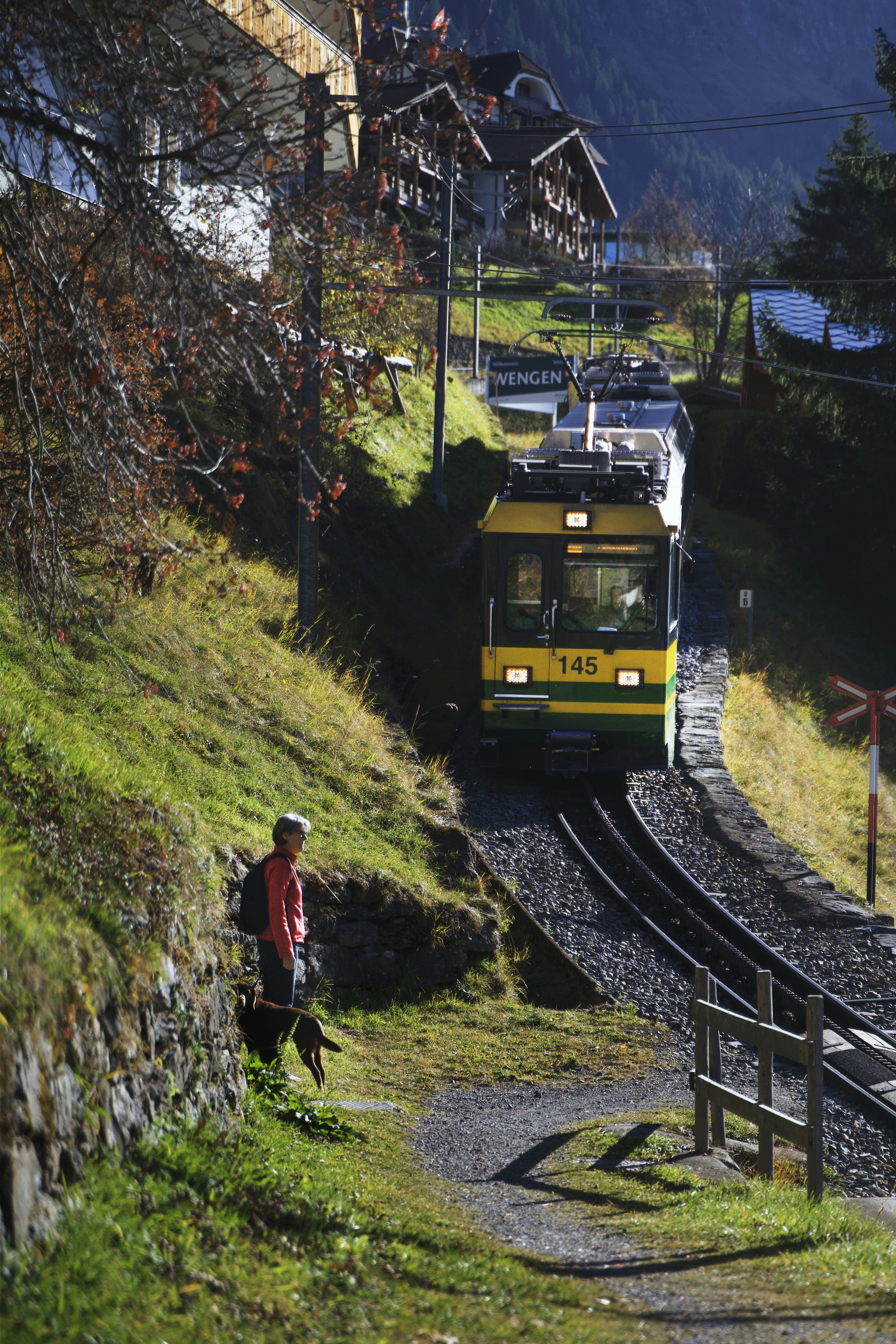 Switchback Engine: A Mountain Train Curls Past a Village Green