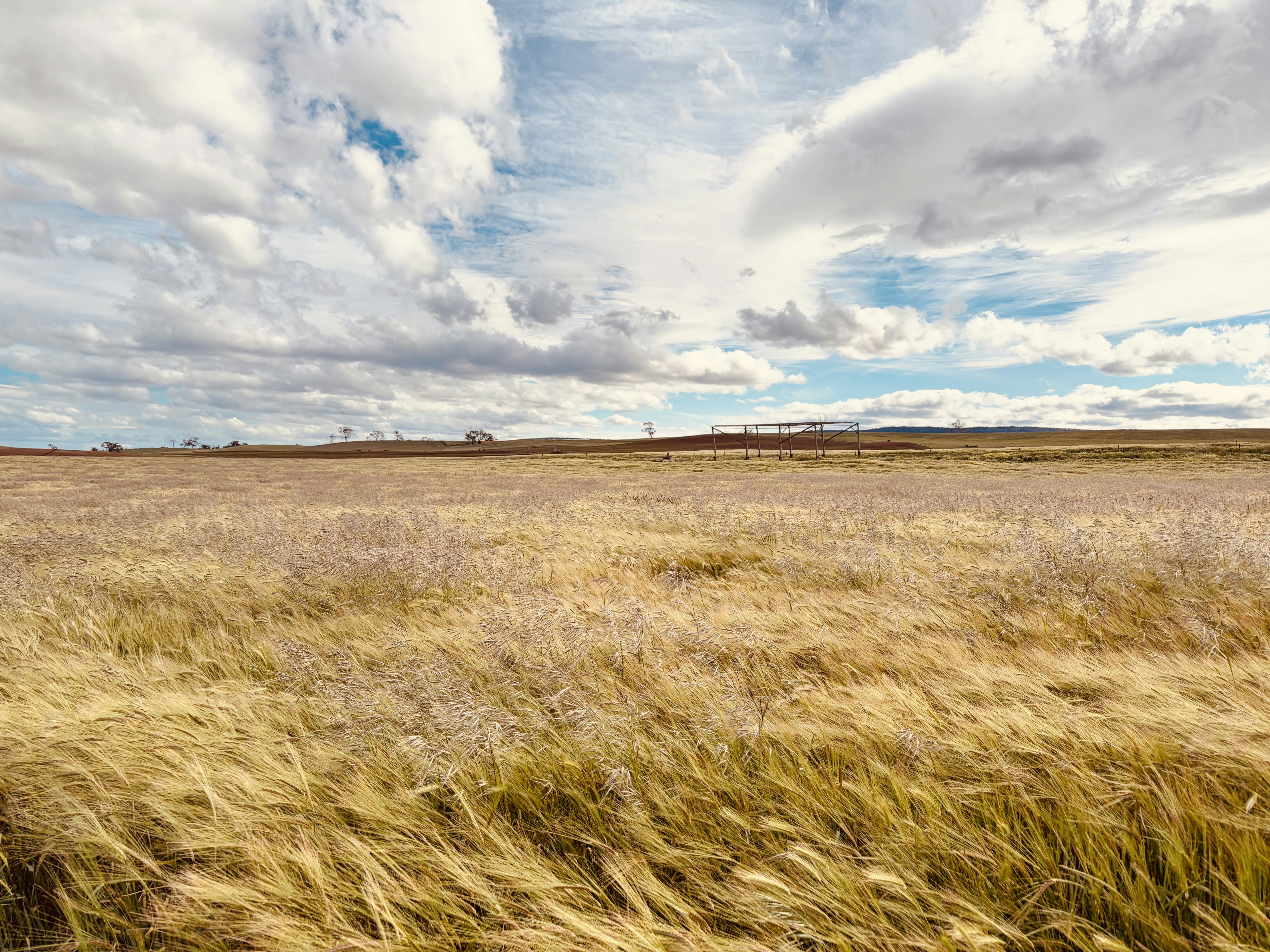 Photo by Neon Wang with Apple iPhone 17