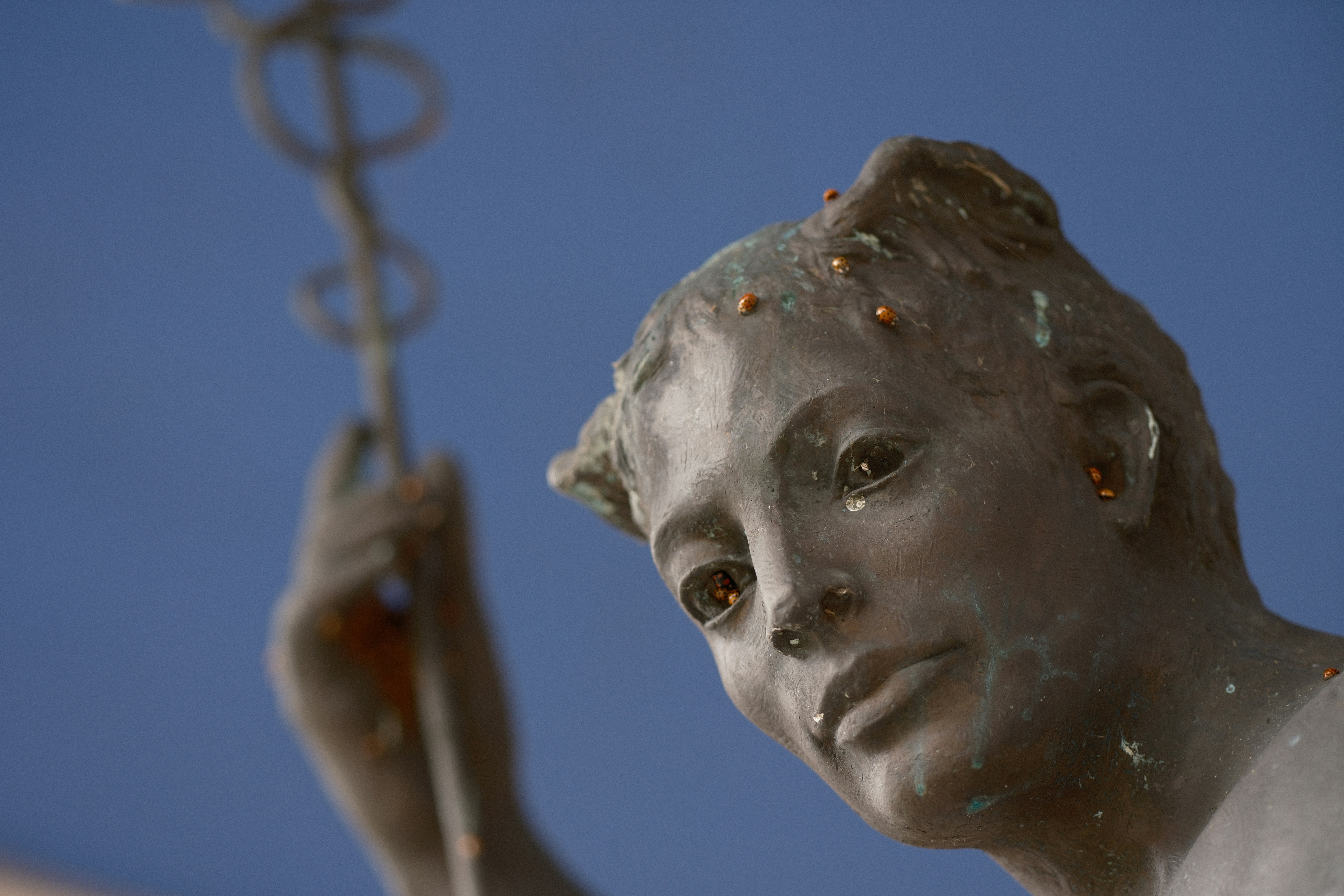 Photo by Simone Dinoia with Fujifilm X-T5