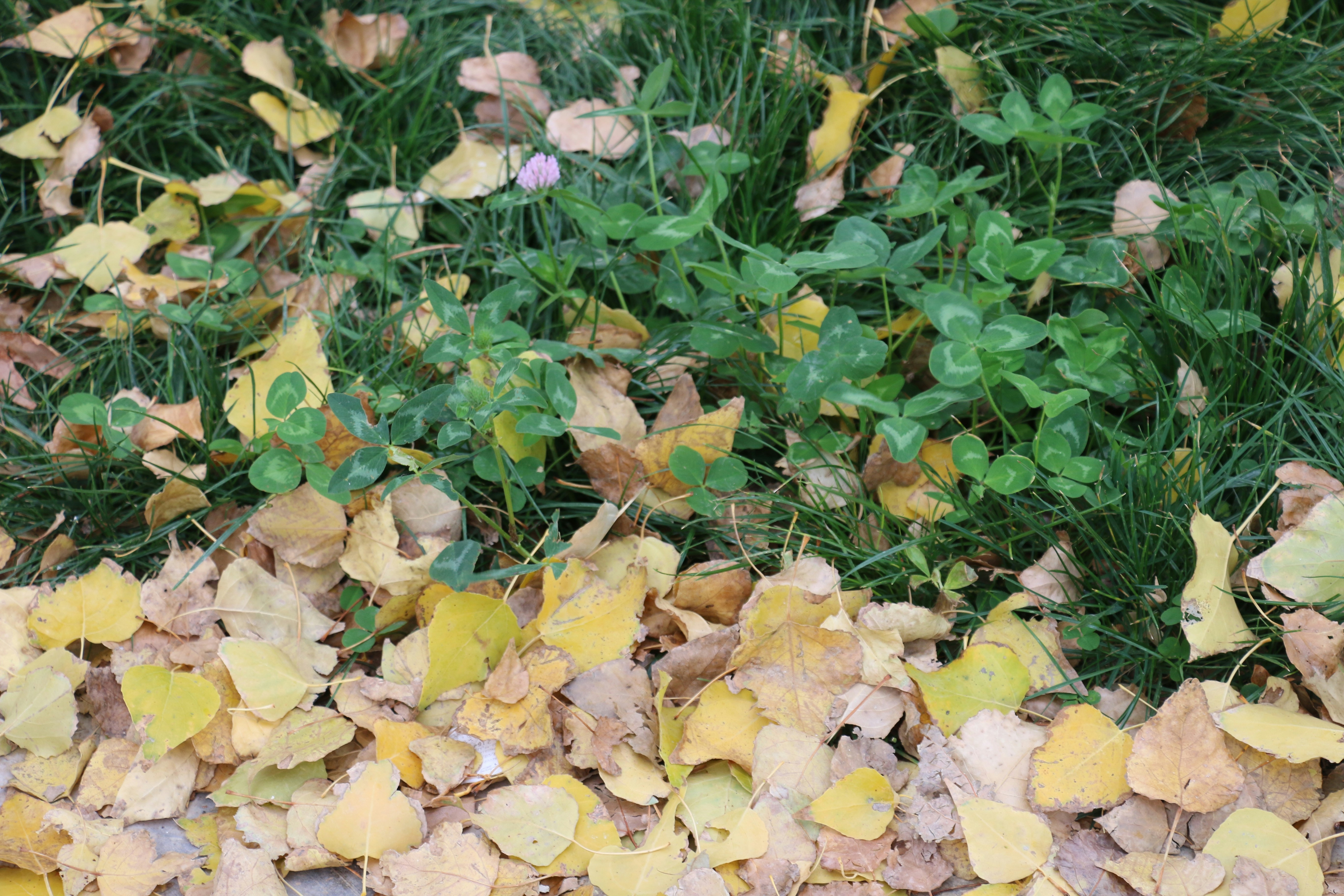 Photo by Ali max with Canon EOS 70D