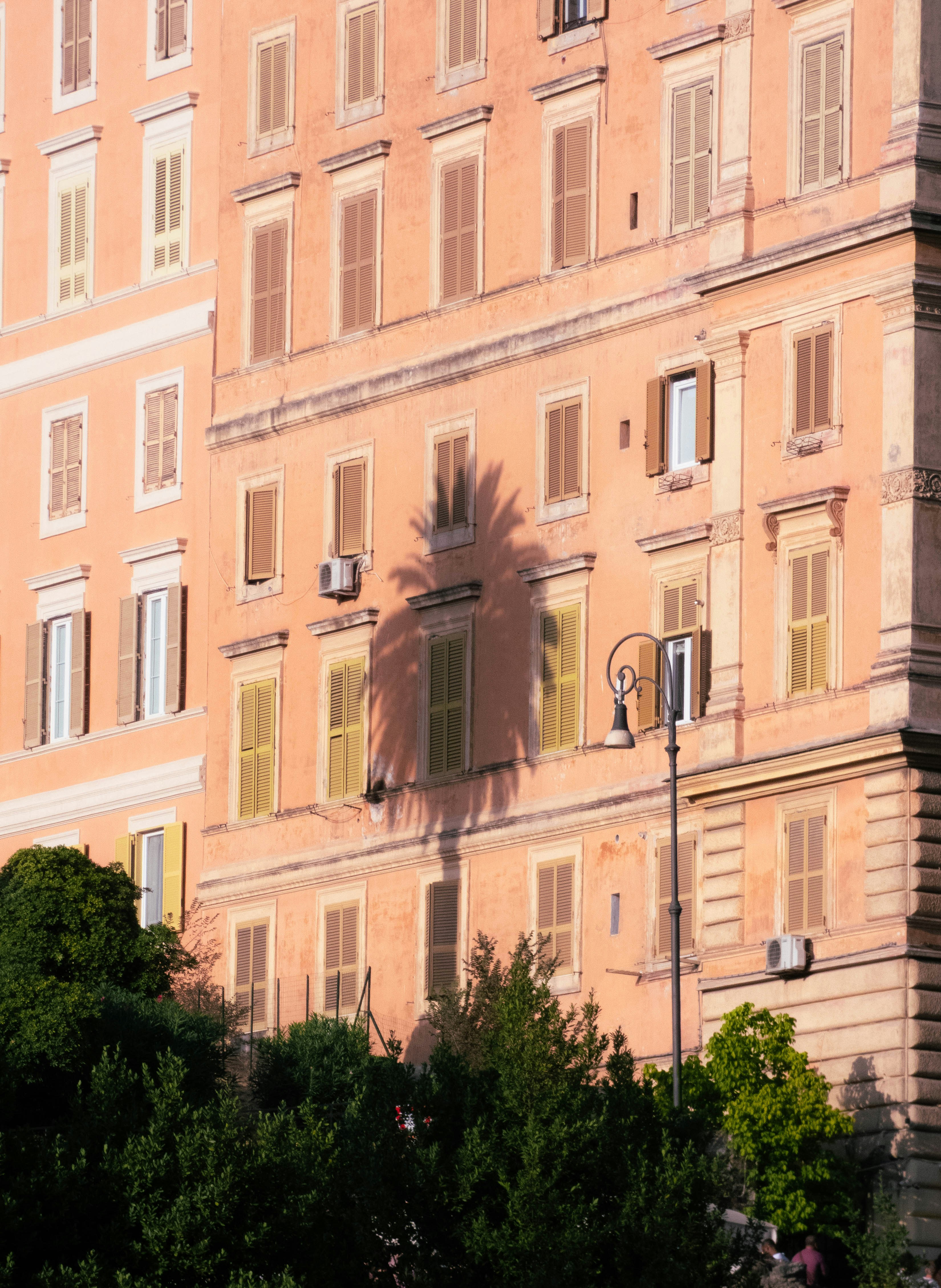 Shadowed Palm on a Peach Facade: Light, Geometry and Windows