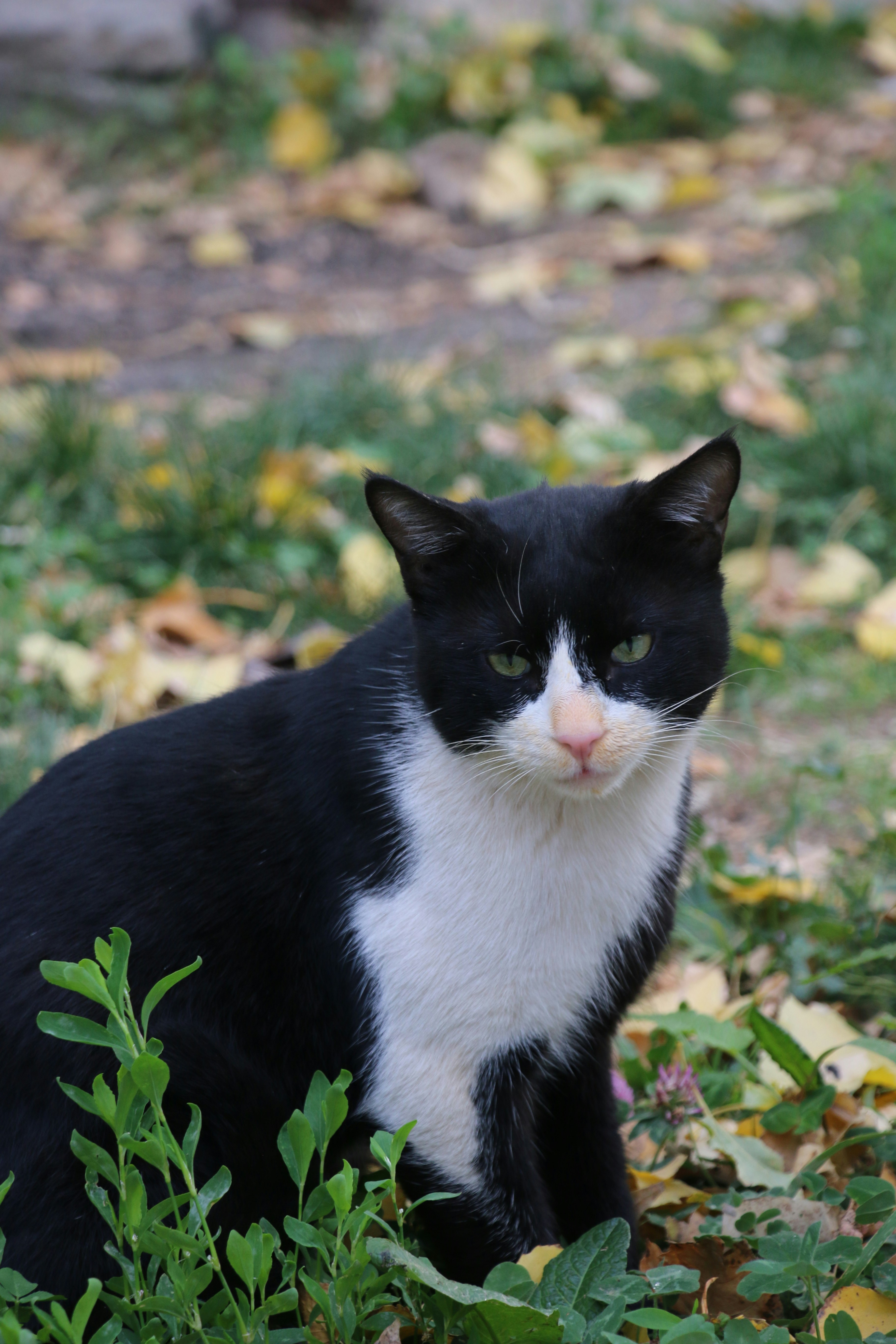 Photo by Ali max with Canon EOS 70D