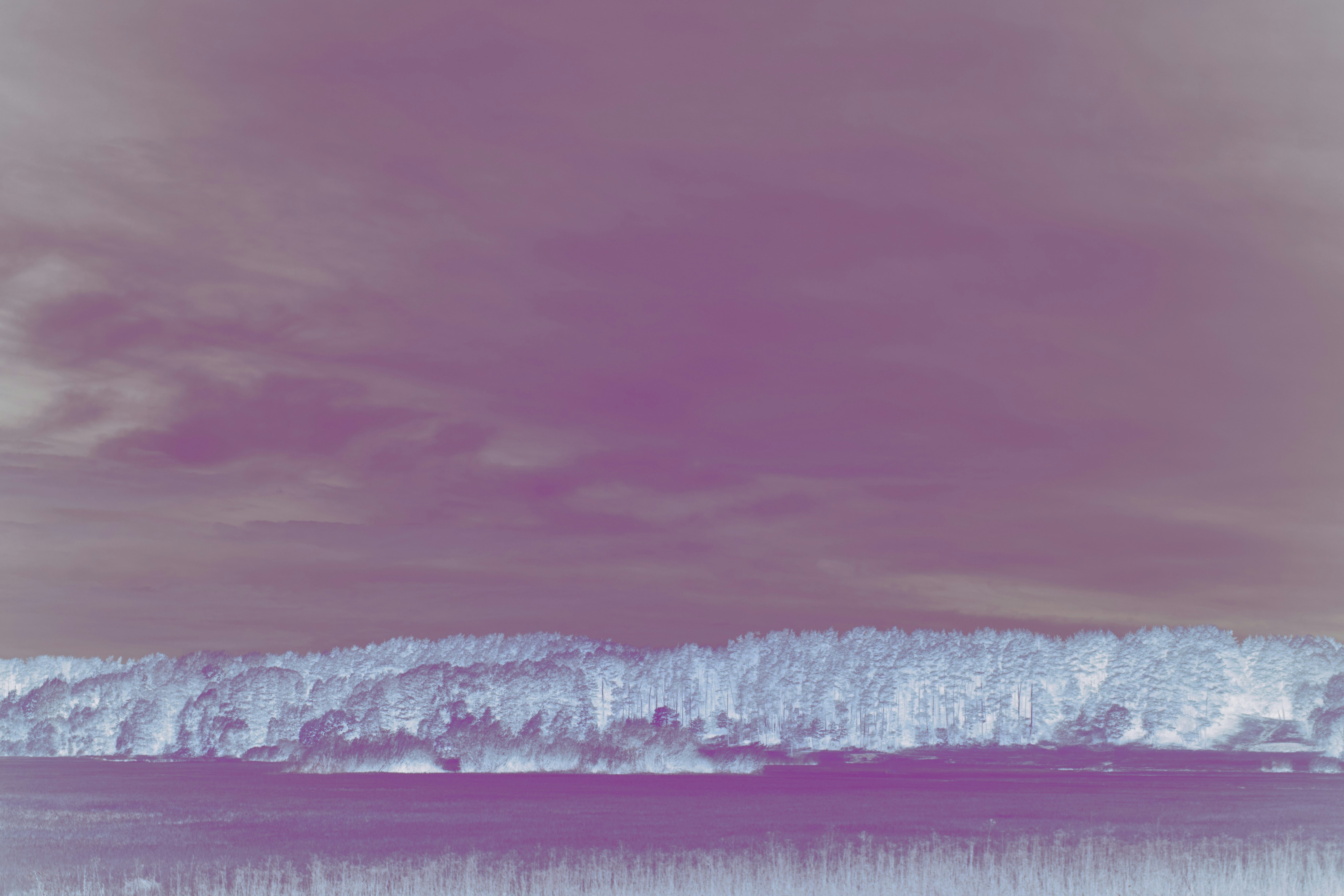 Photo by Wolfgang Hasselmann with Sony Alpha 7 IV