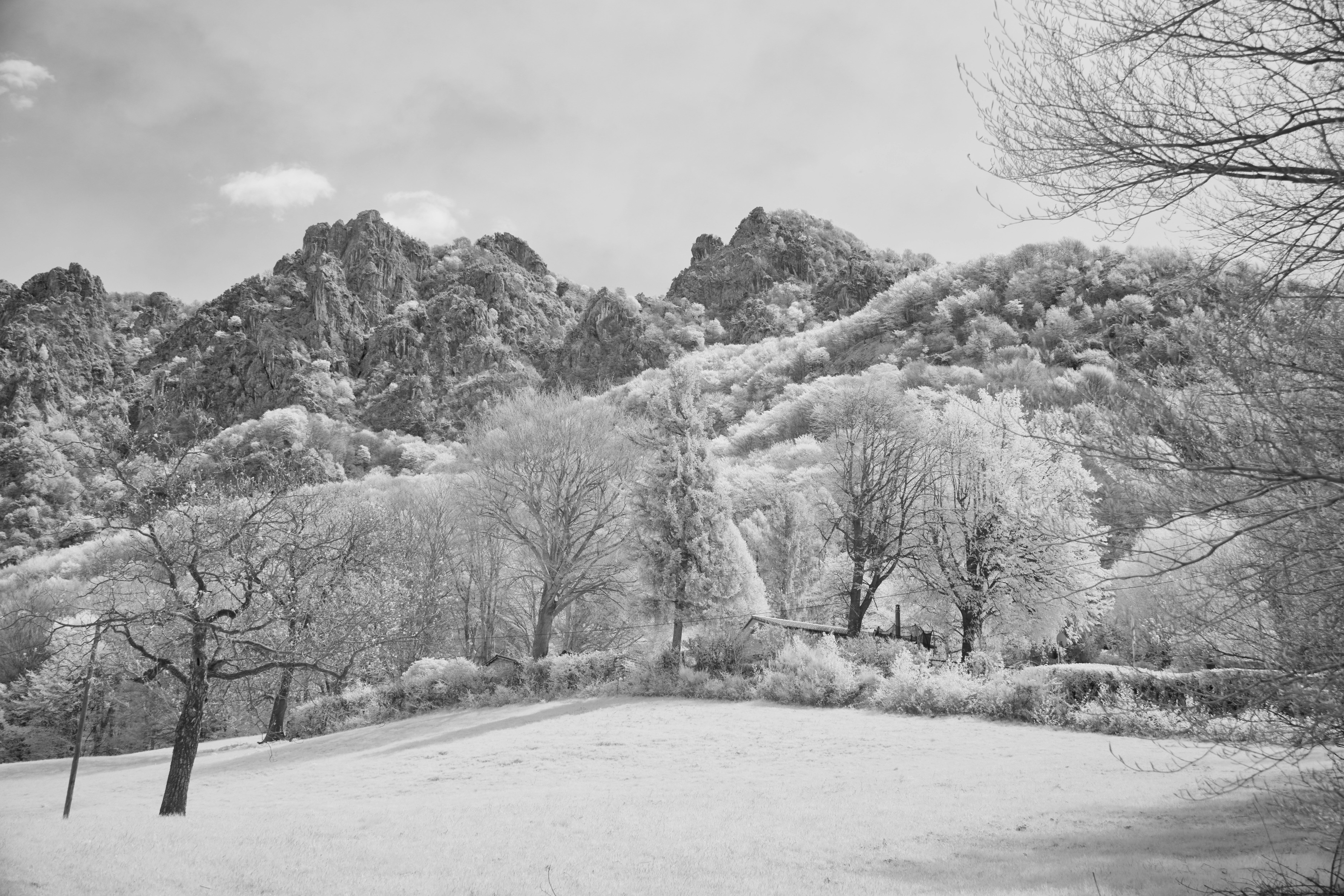 Photo by Wolfgang Hasselmann with Sony Alpha 7 IV