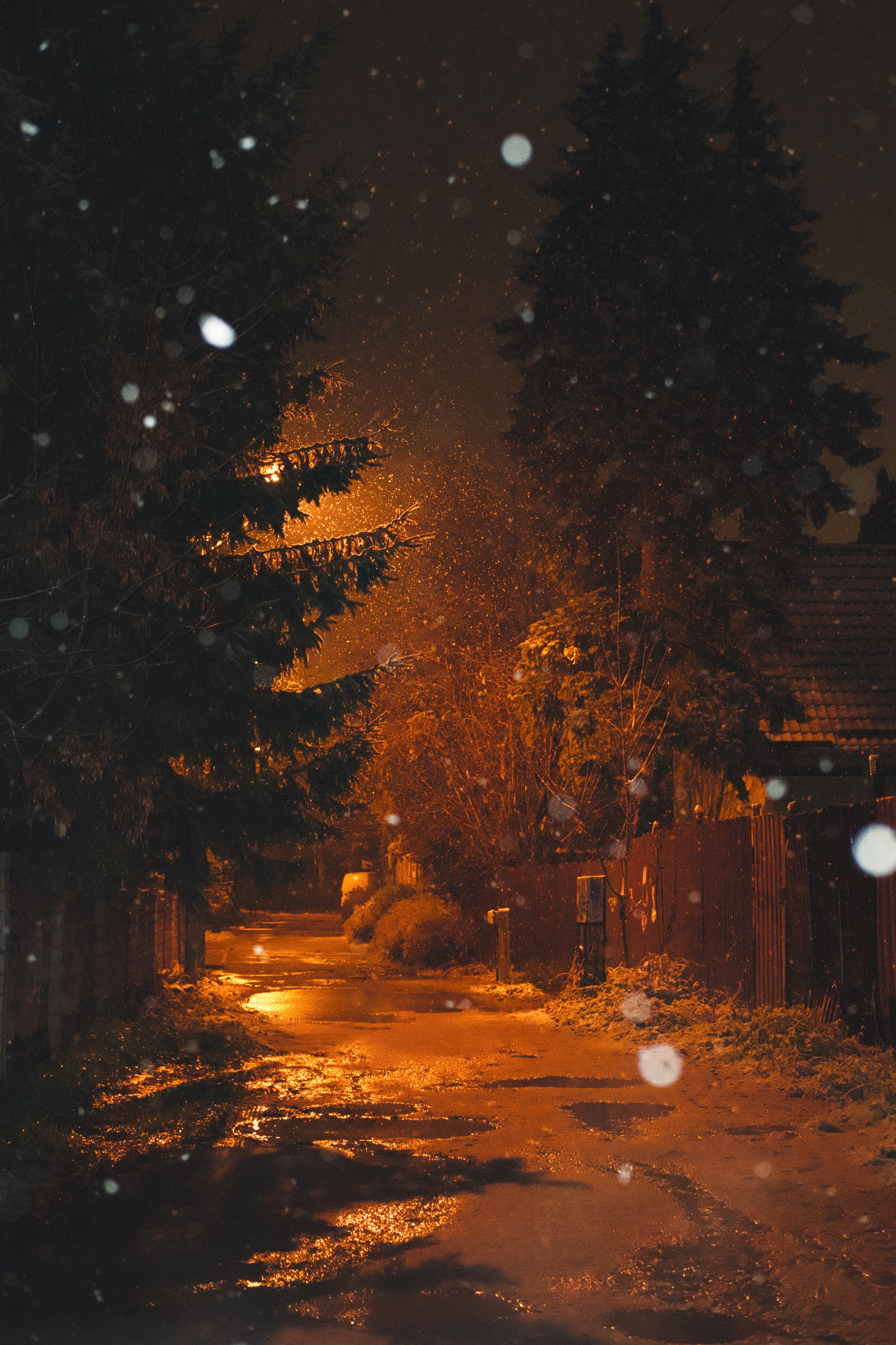 Photo by Alexander Lunyov with Fujifilm X-T30 II