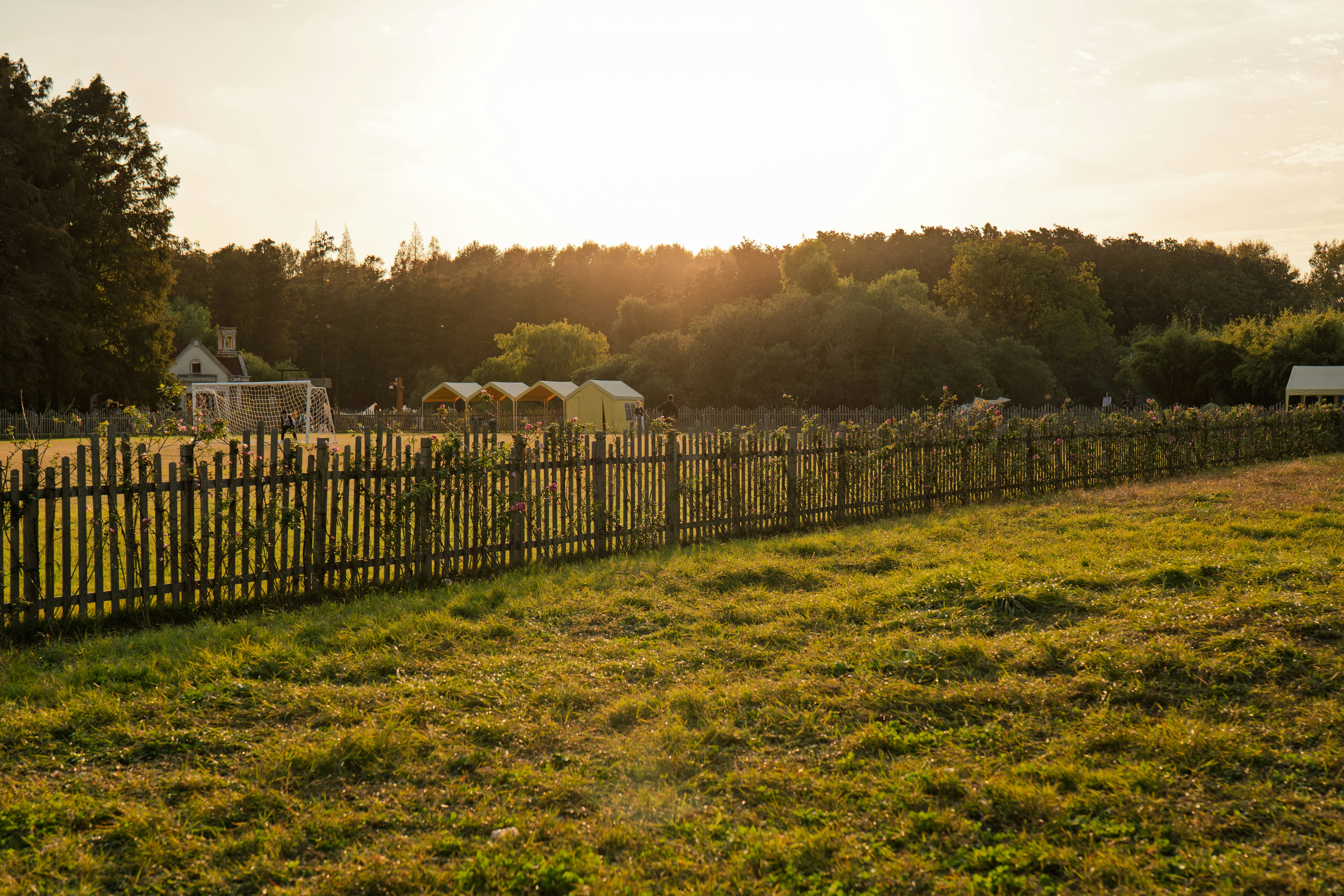 Golden Hour Fence: Distant Campsite in a Quiet Meadow