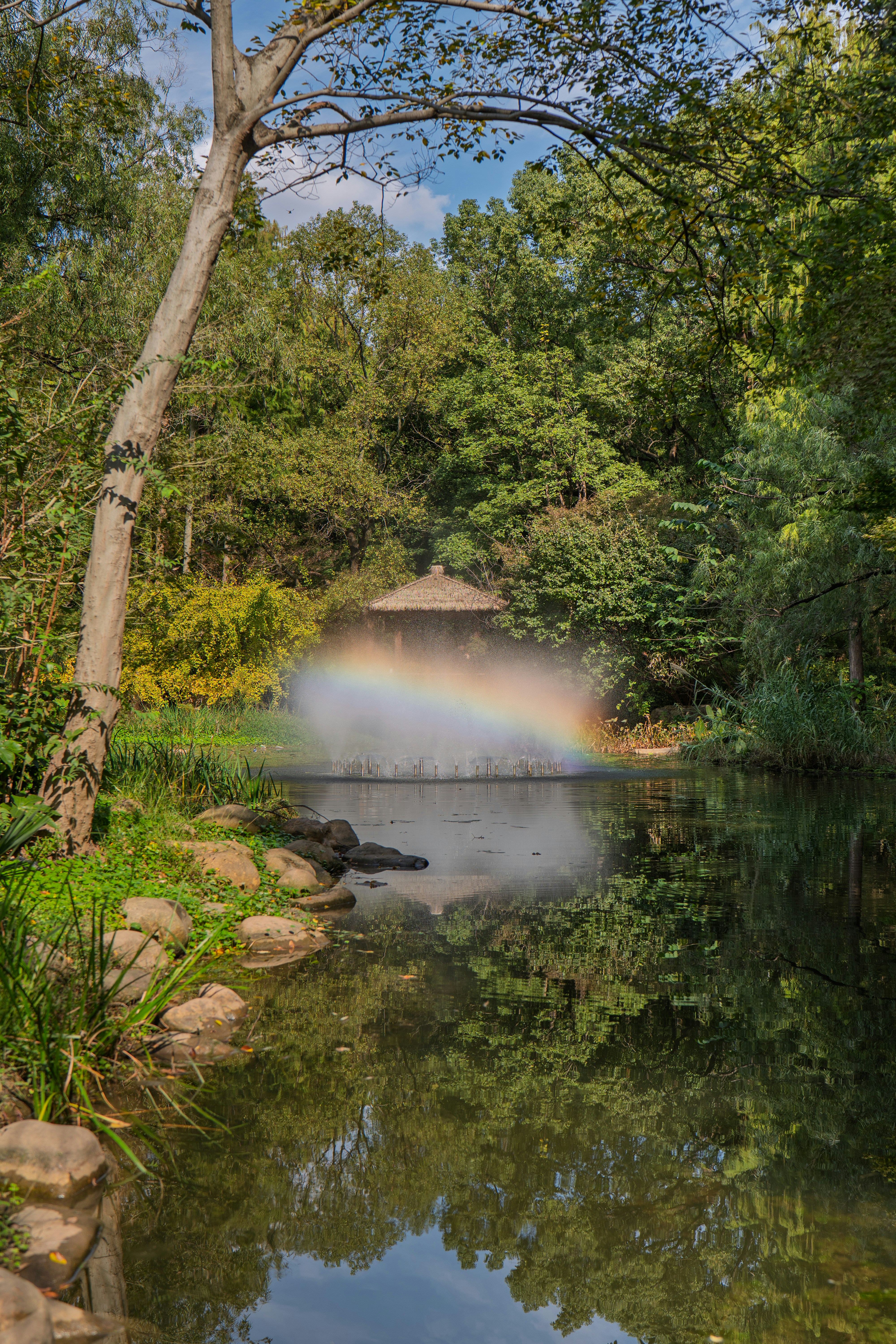 Rainbow over a tranquil pond framed by trees and a thatched gazebo