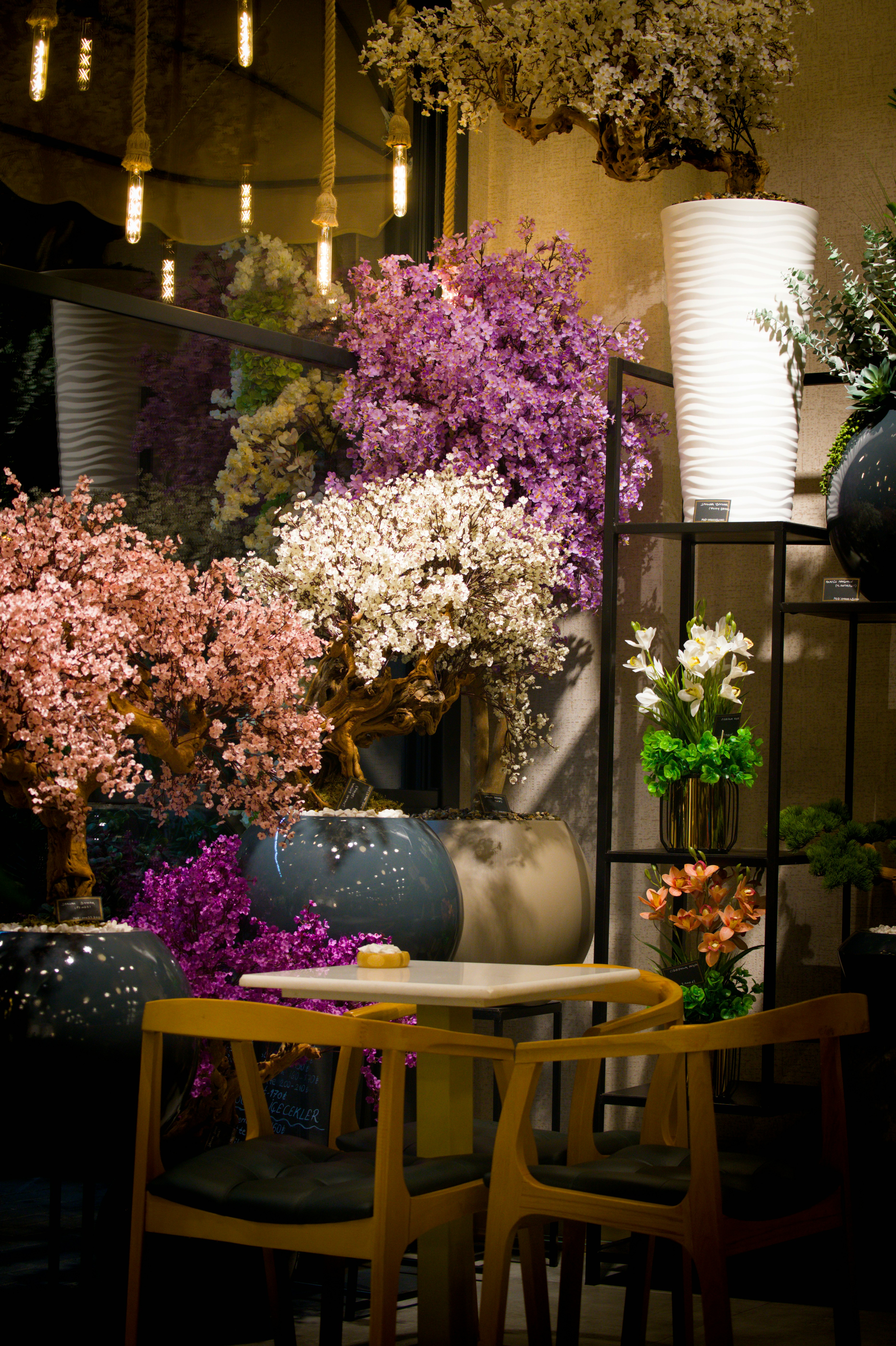 Chromatic Blossoms and Warm Edison Glow in a Modern Café Gallery