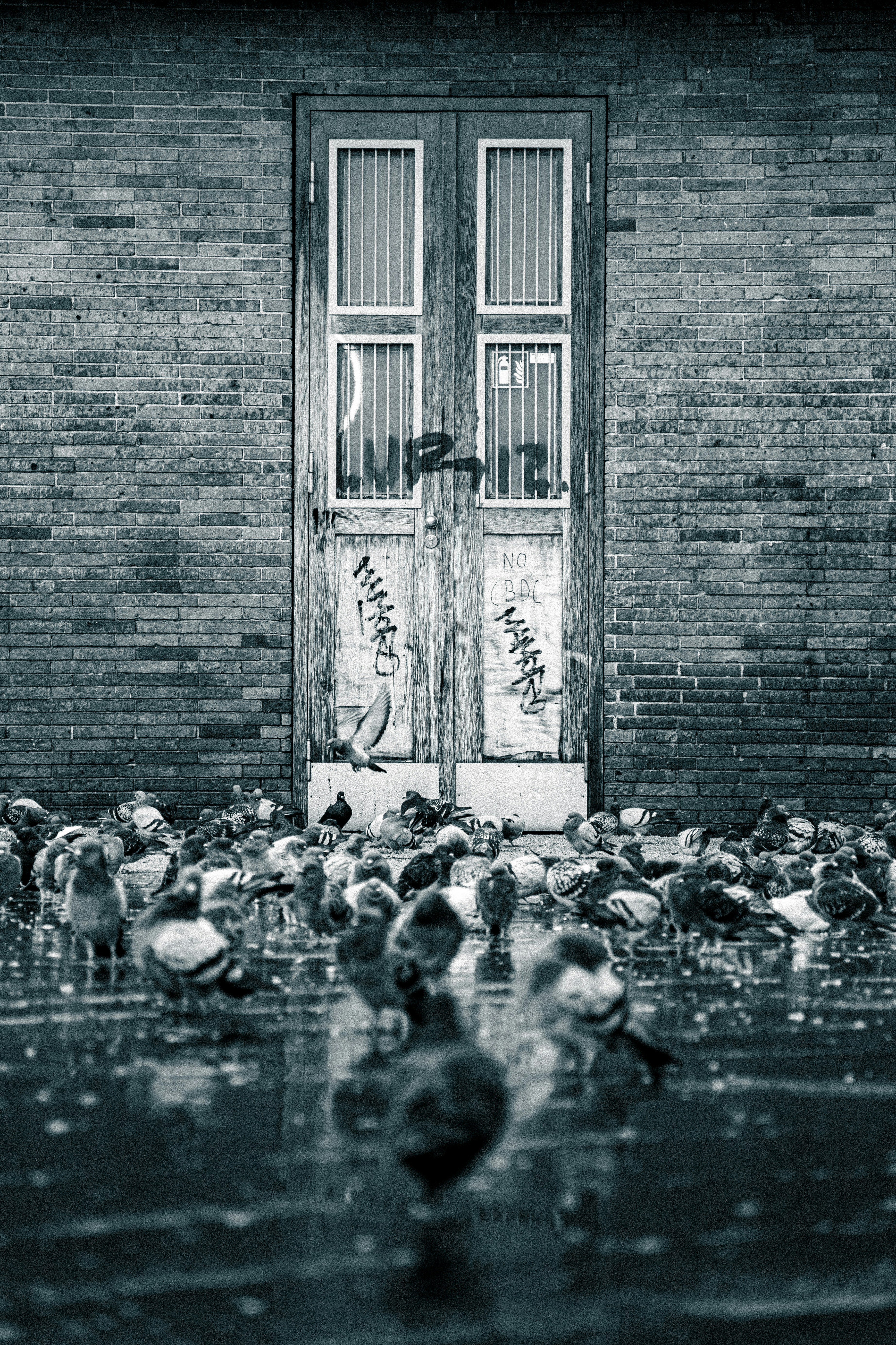 Photo by Jan Ledermann with Sony Alpha 6700