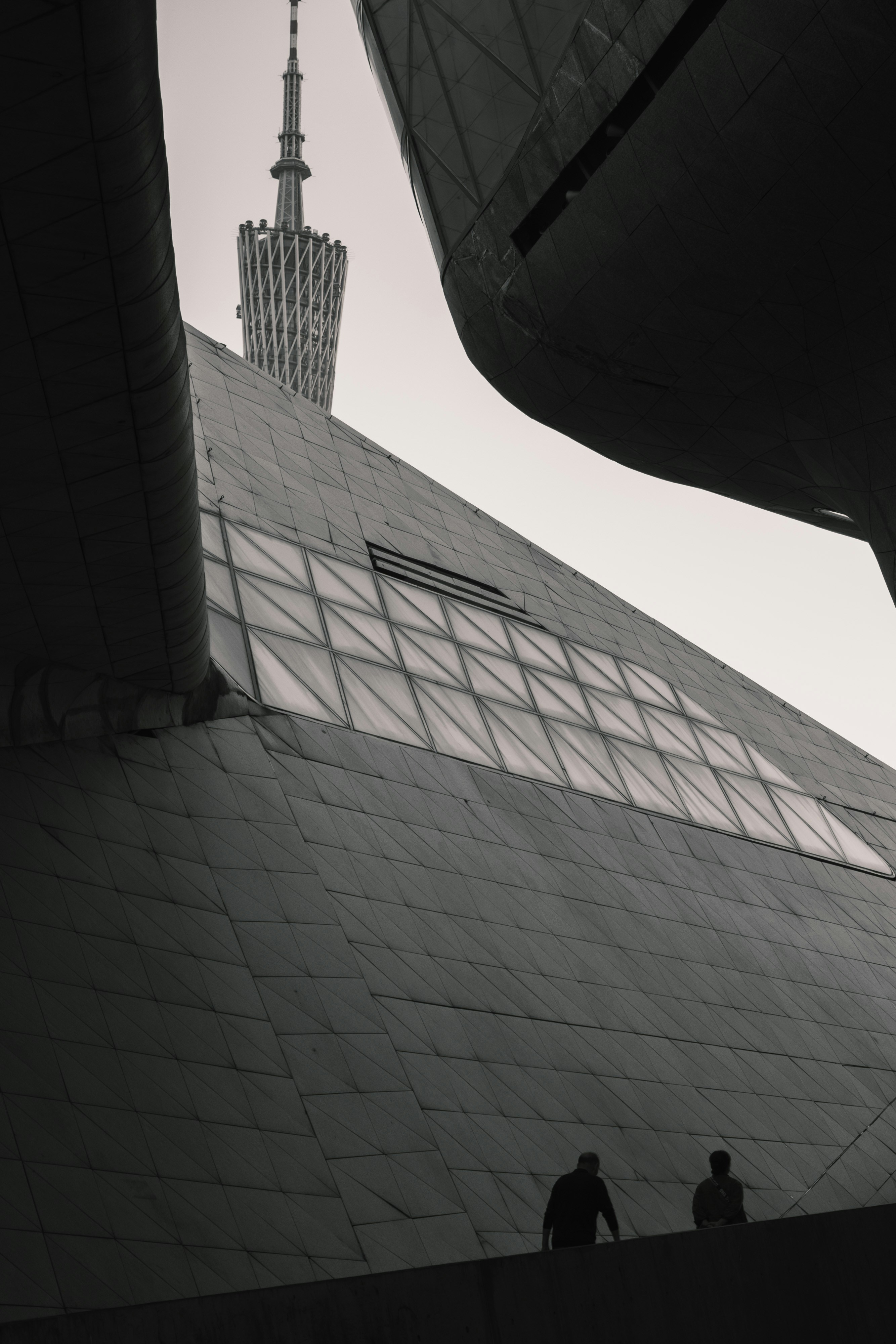 Spire Above the Diamond Canopy: Tokyo Skytree Over a Modern Facade