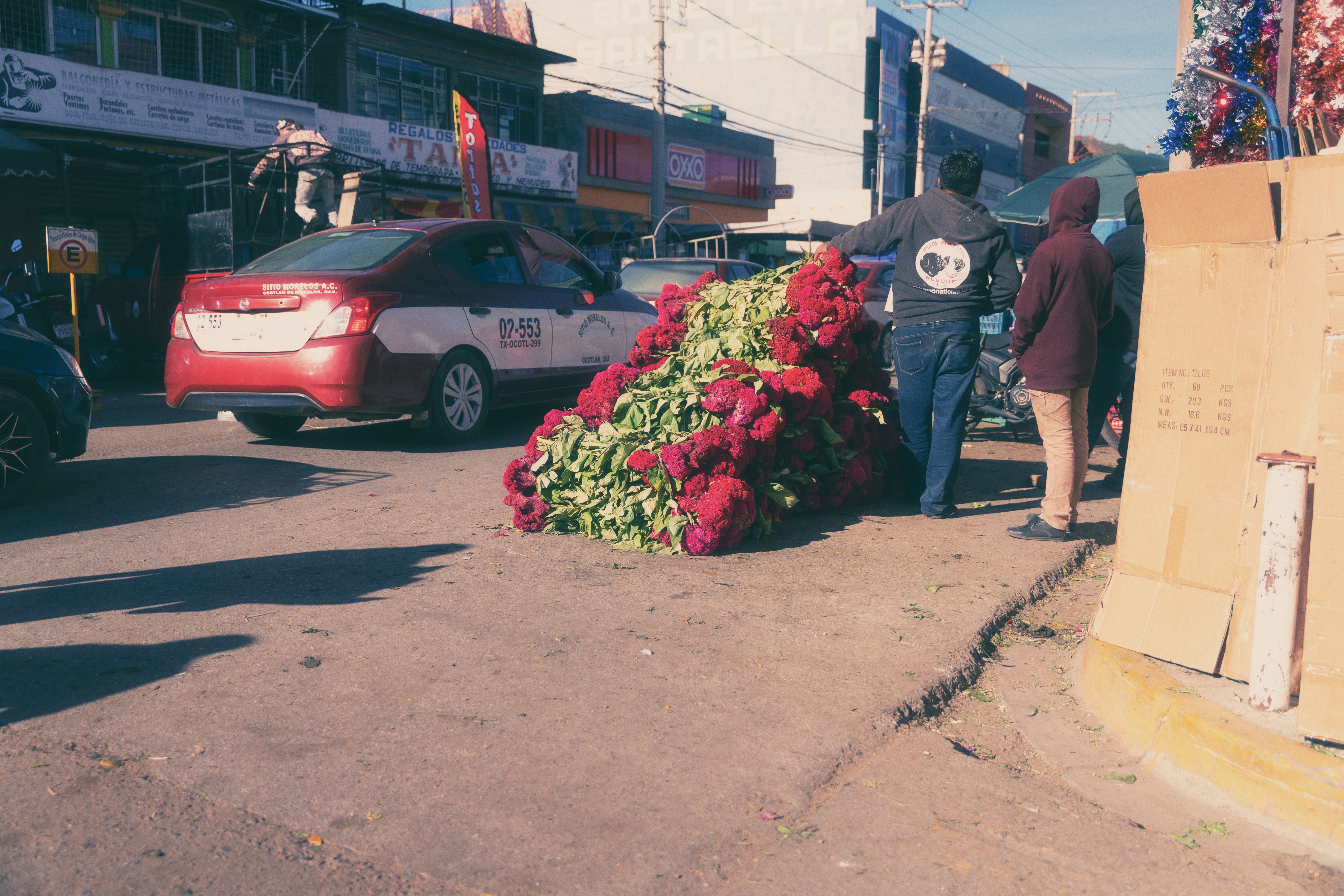 Boulevard Bloom: A Crimson Flower Display Anchors a Busy Street Scene