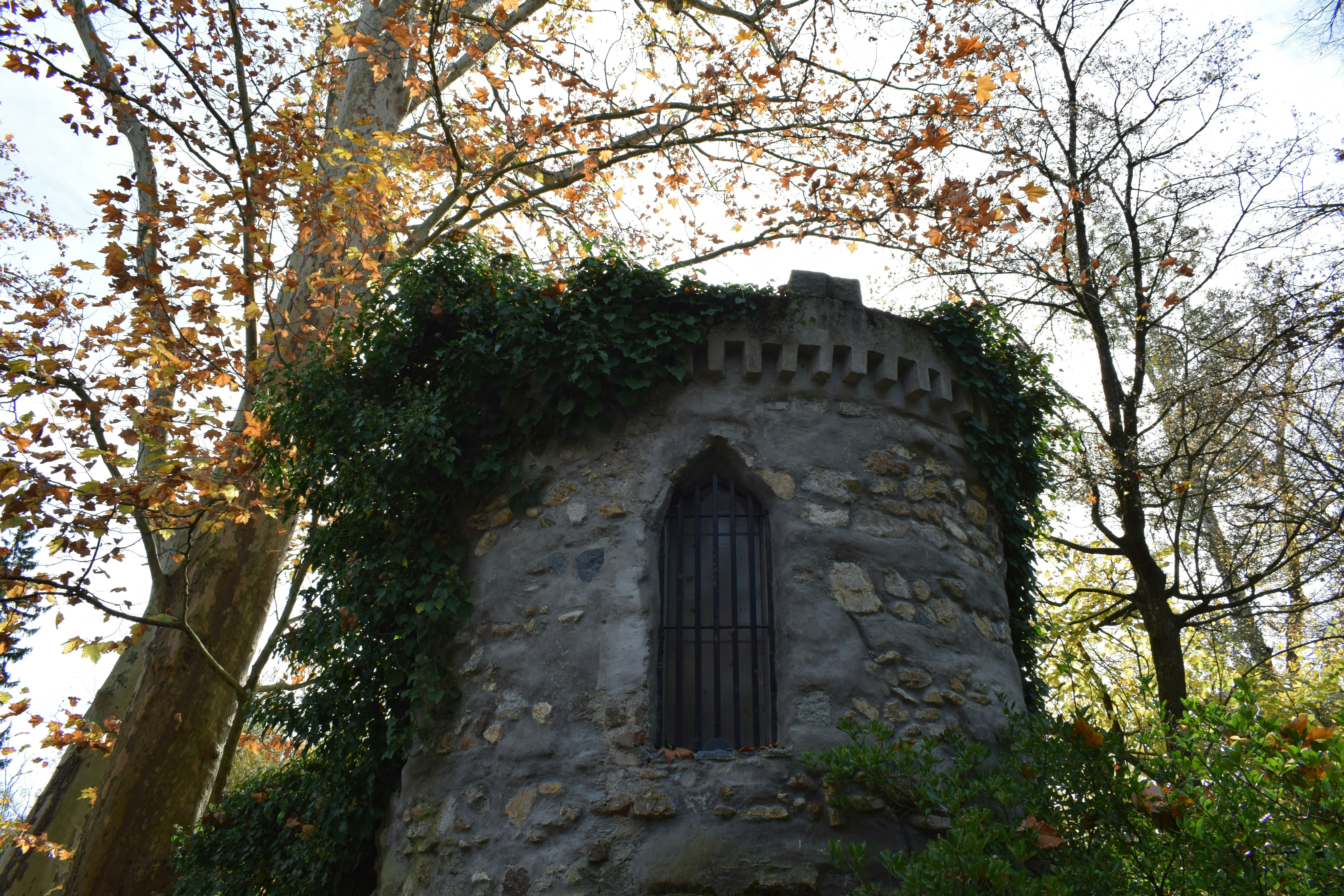 Ivied Turret in Autumn Light: A Stone Sentinel