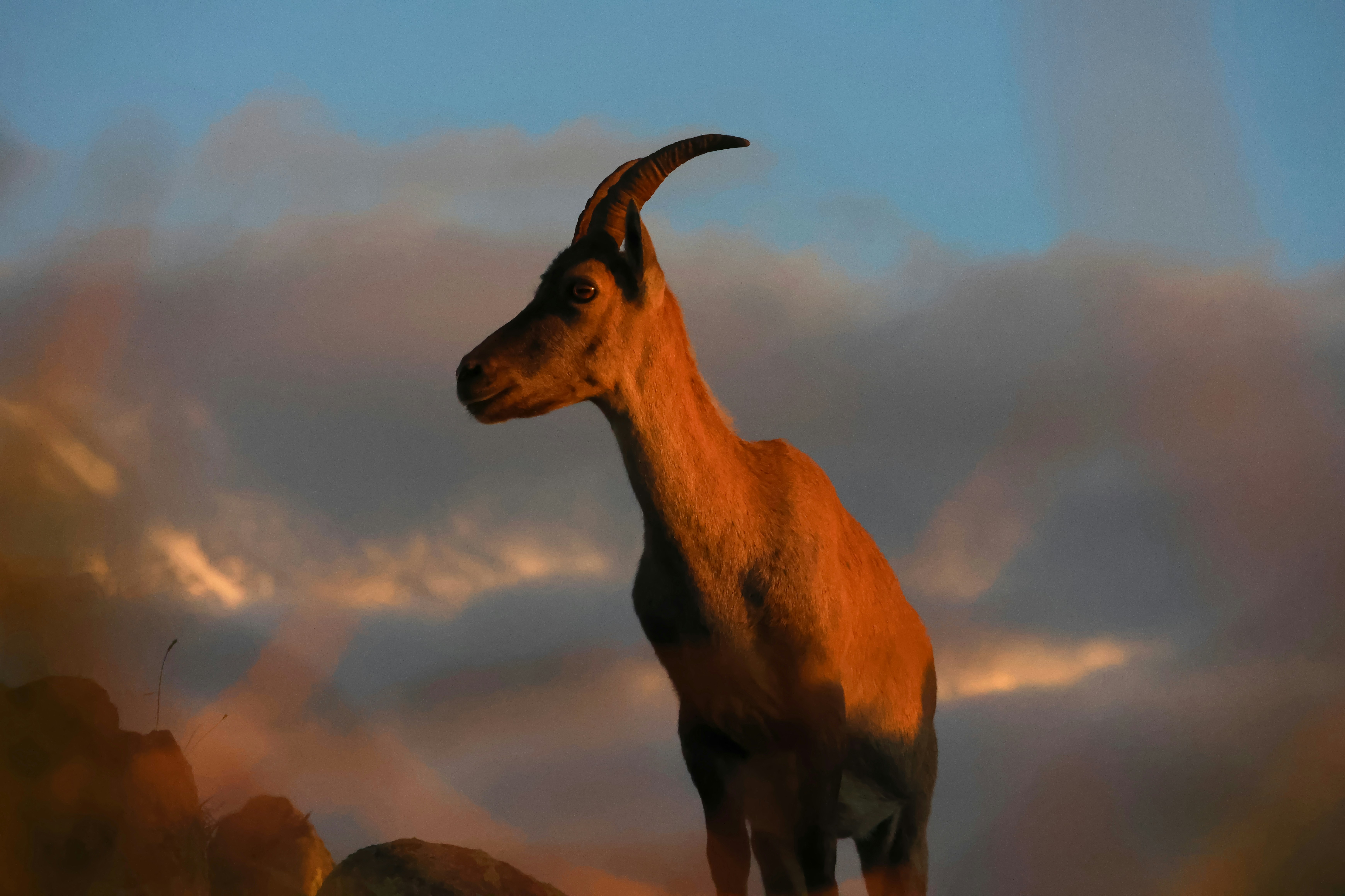 Photo by Damien Reviron with Canon EOS R7