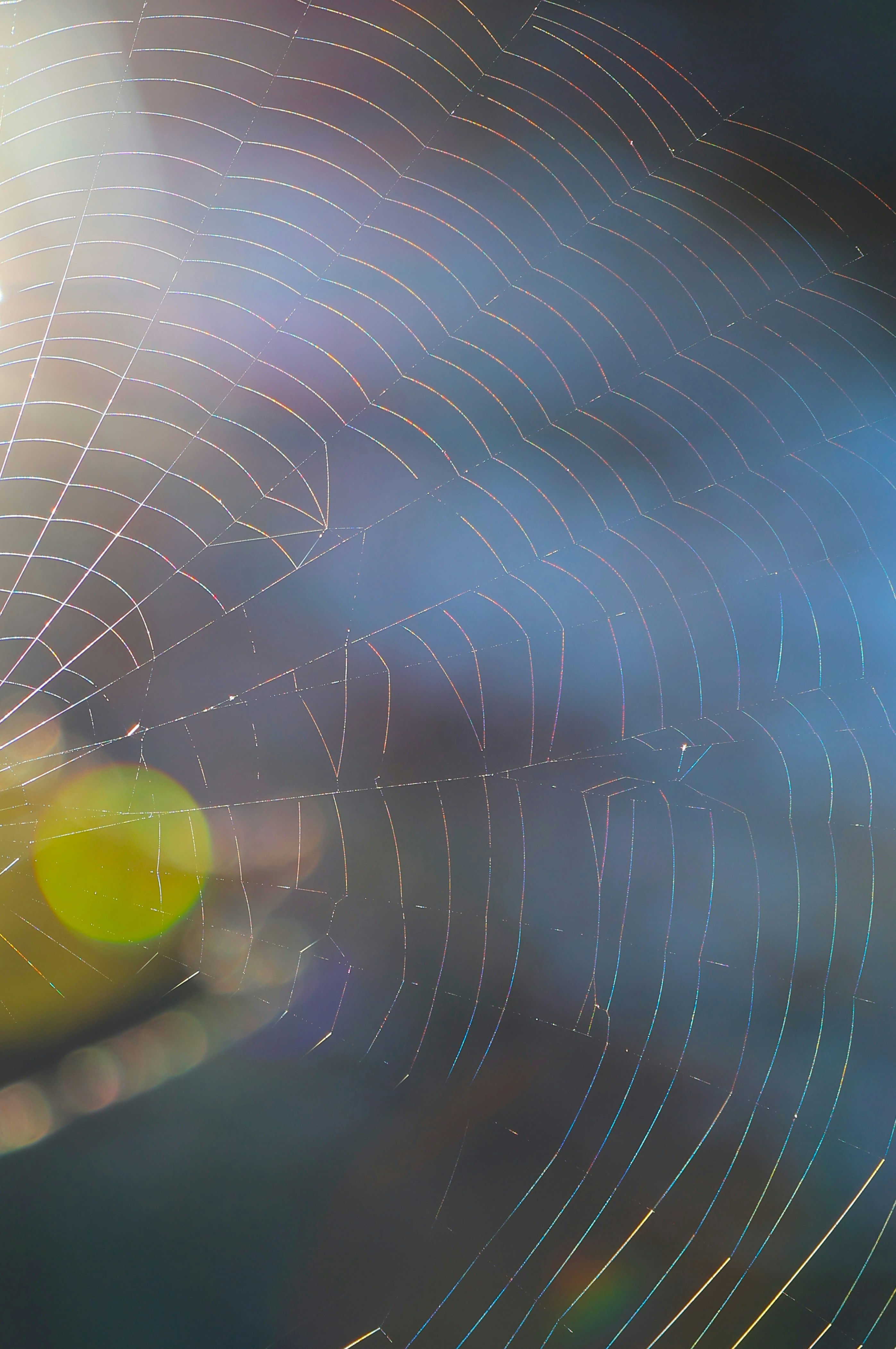 Photo by Damien Reviron with Canon EOS R7