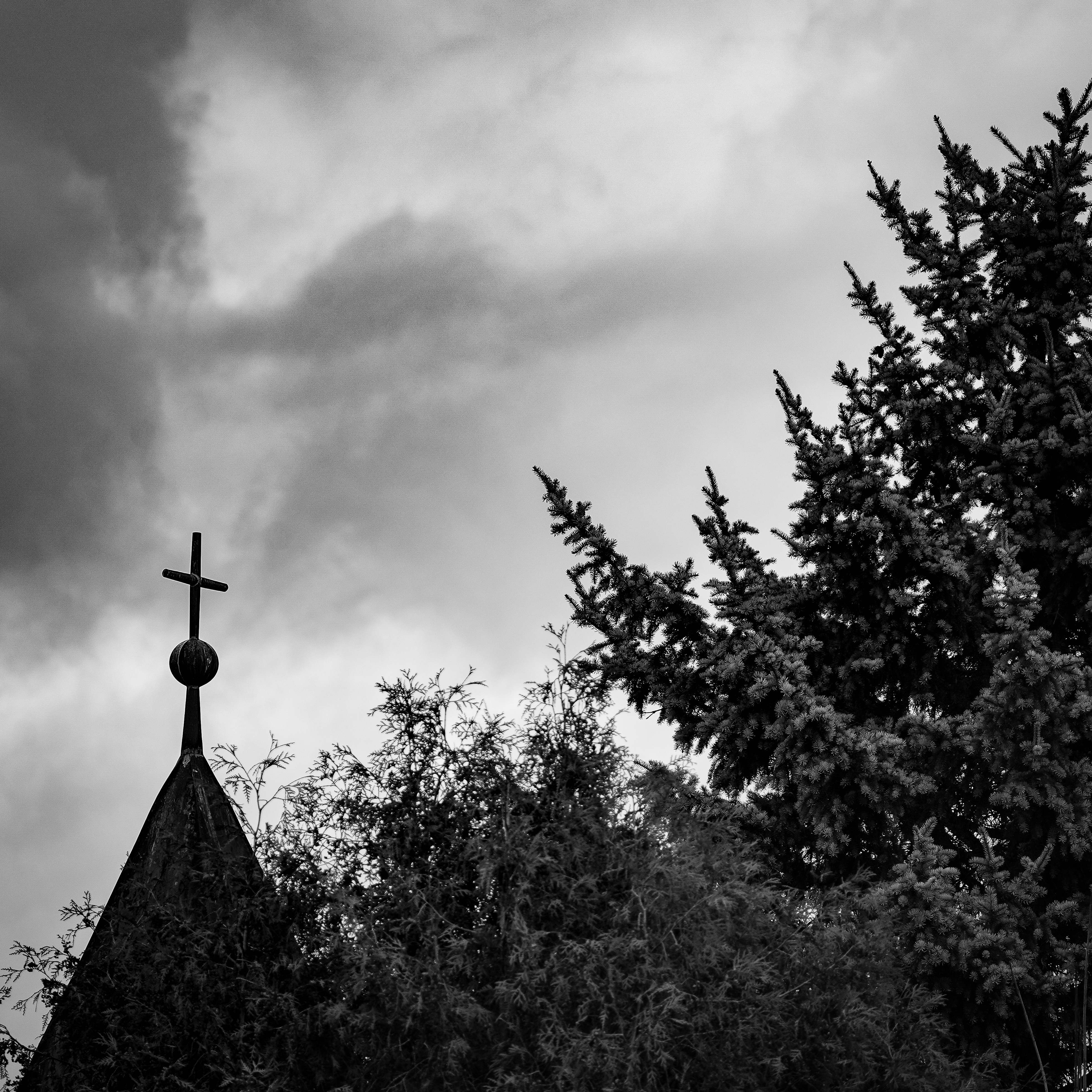 Photo by Nikola  Tomašić with Sony Alpha 7 IV