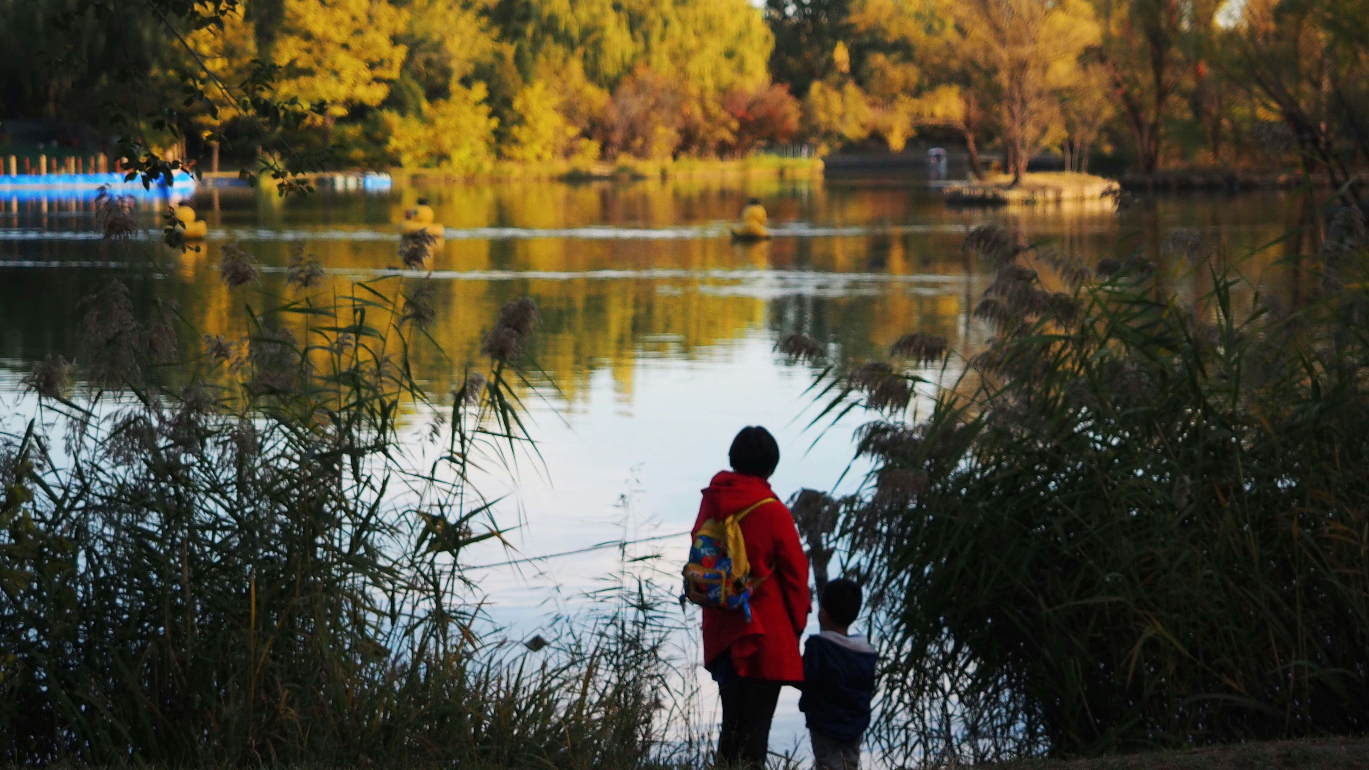 Red Coat at the Edge: Autumn Light on a Quiet Lake