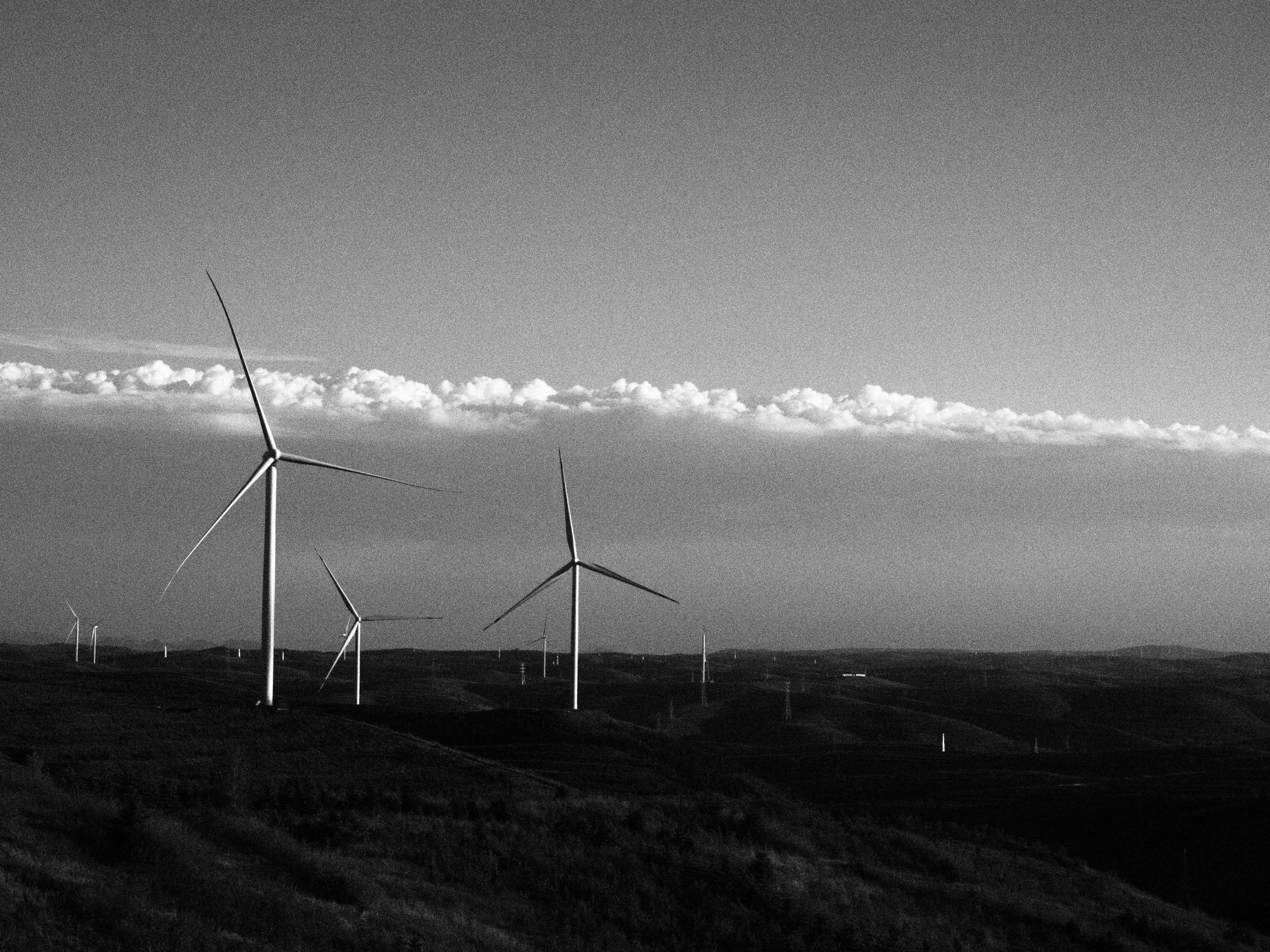 Photo by Zhang Yi with Olympus OM-D E-M10 Mark III