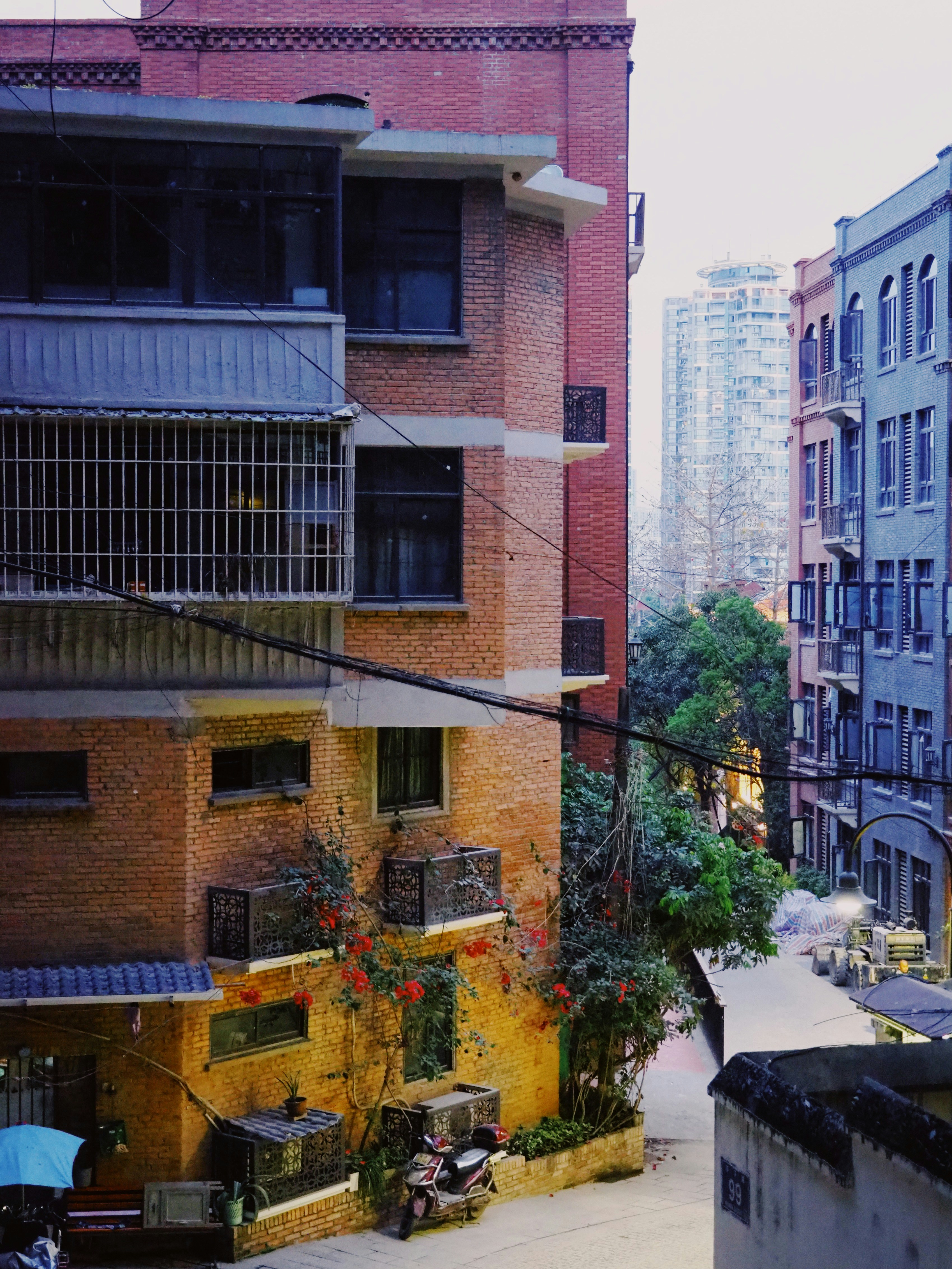 Urban Staircase to the Street: Sunlit Brick and Blue Windows