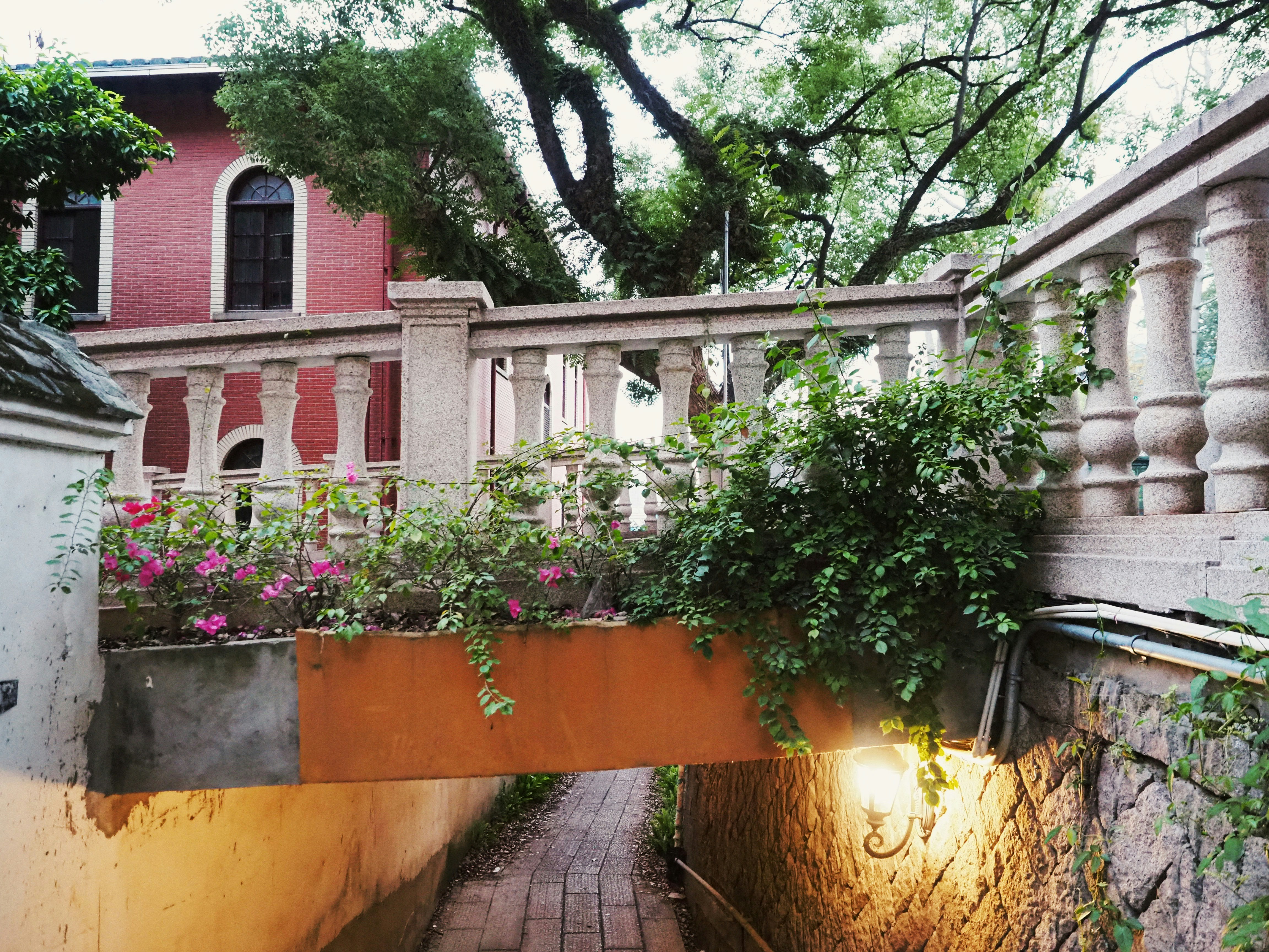 OLYMPUS DIGITAL CAMERA Processed with VSCO with fv5 preset