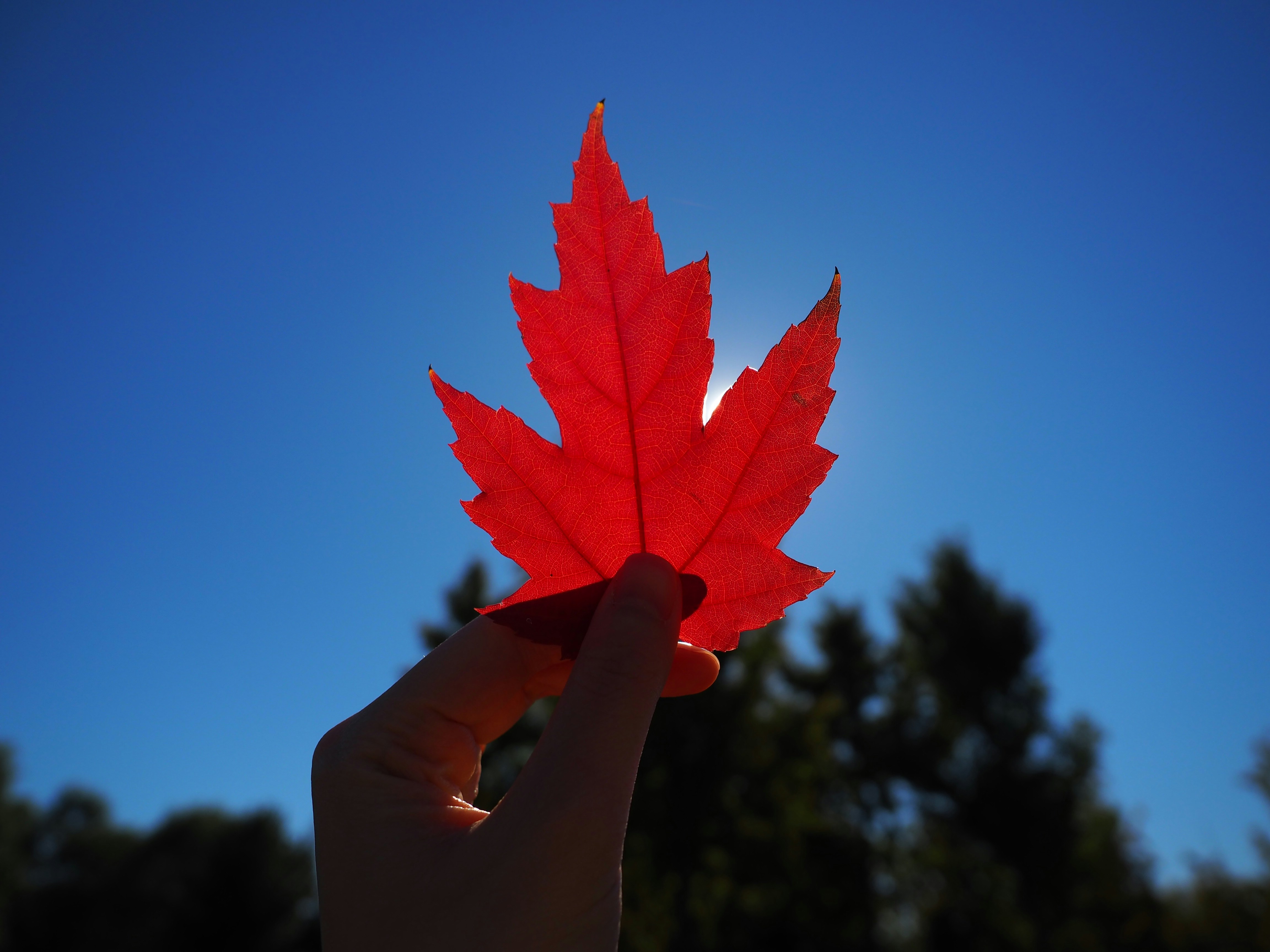 Photo by Zhang Yi with Olympus OM-D E-M10 Mark III