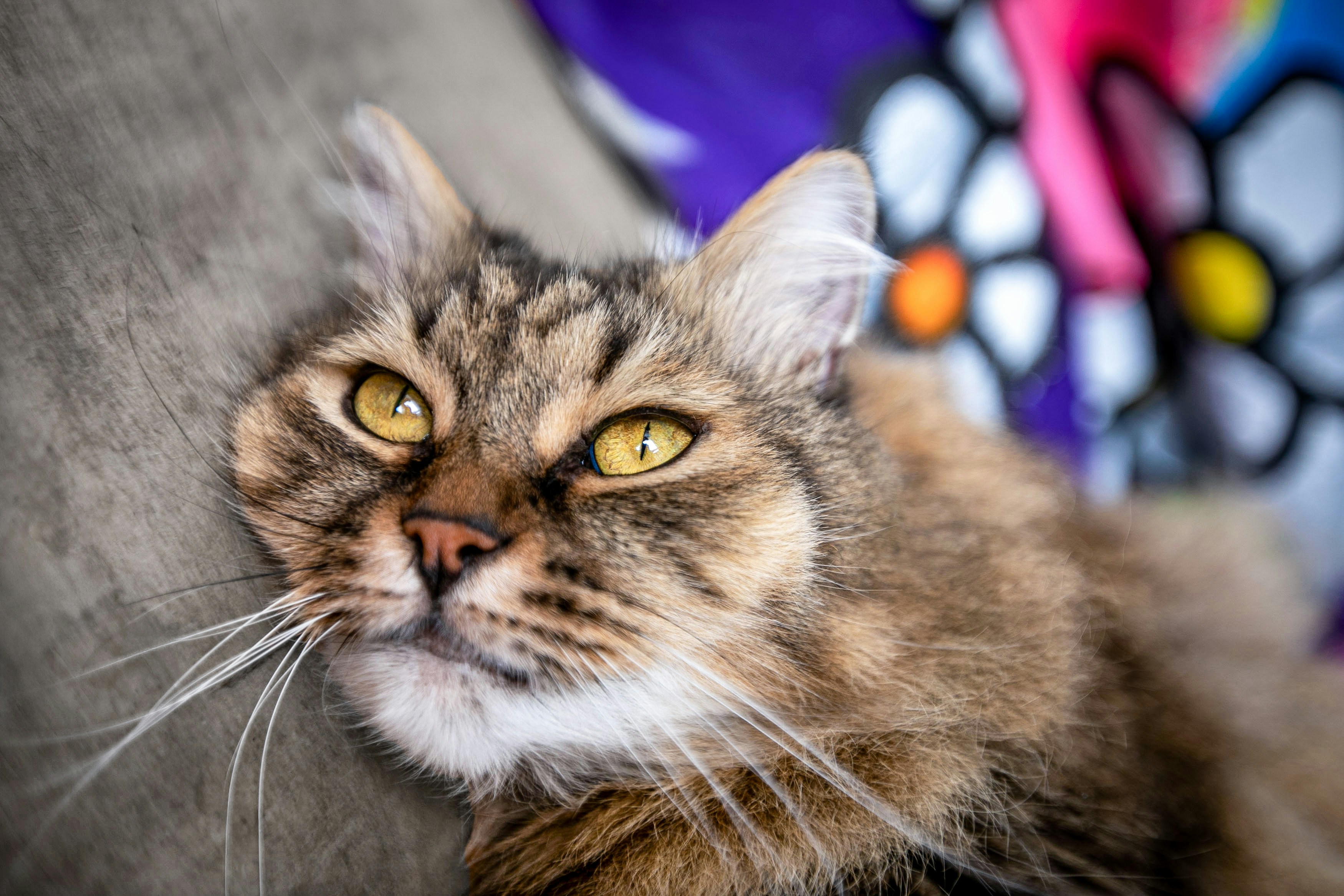 Photo by Le Tia with Canon EOS 5D Mark IV