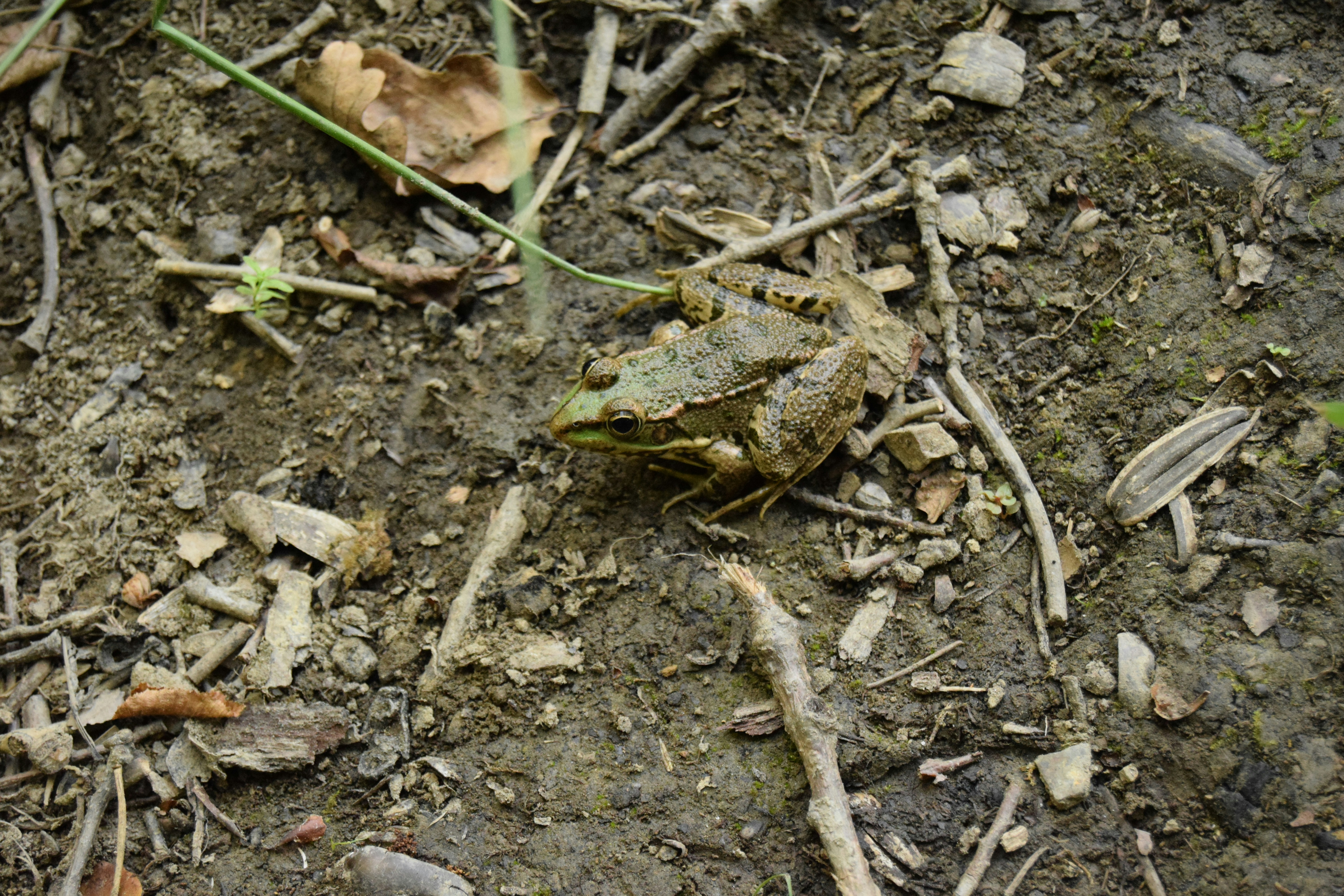 Photo by Efe Kekikciler with Nikon D3300