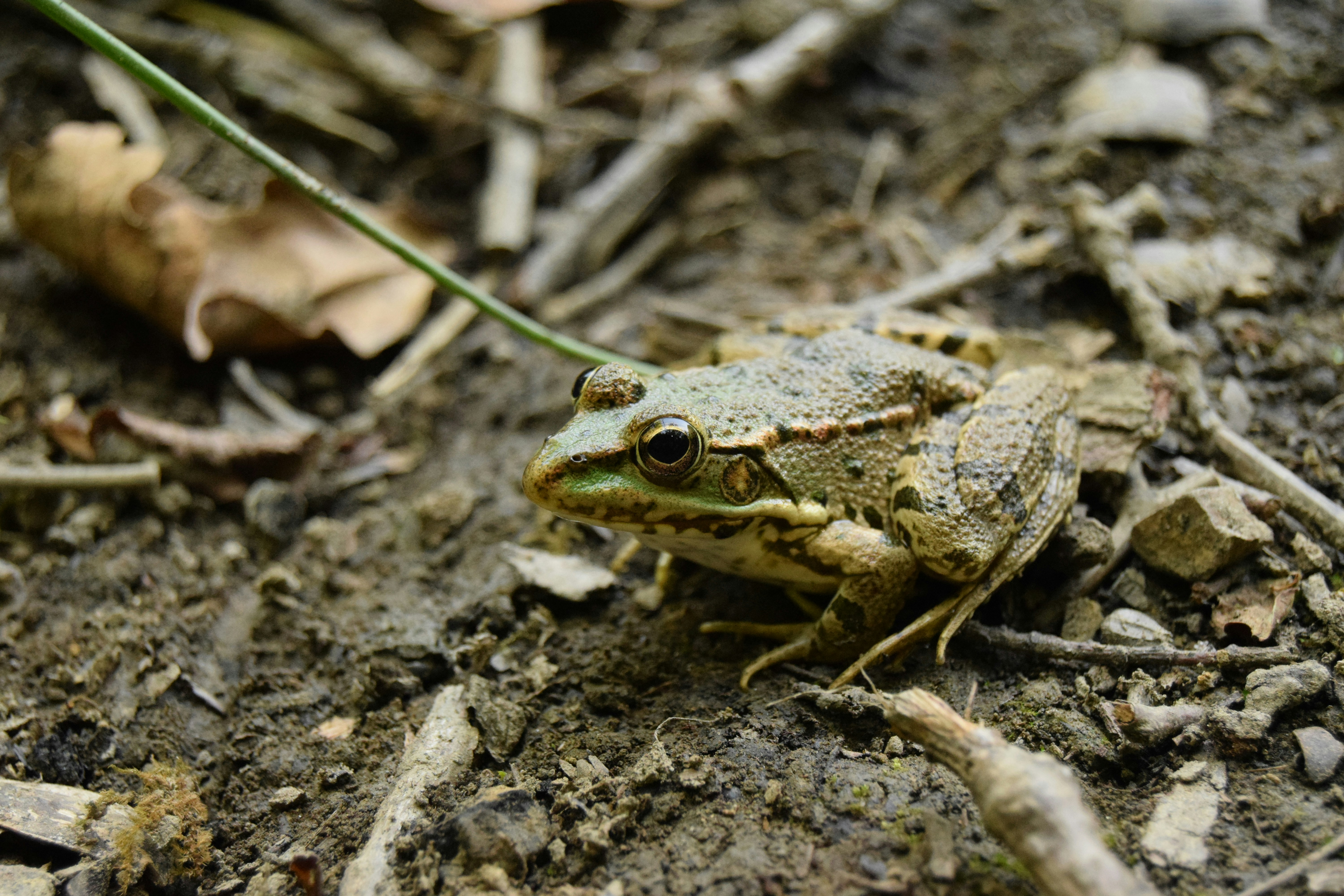 Photo by Efe Kekikciler with Nikon D3300