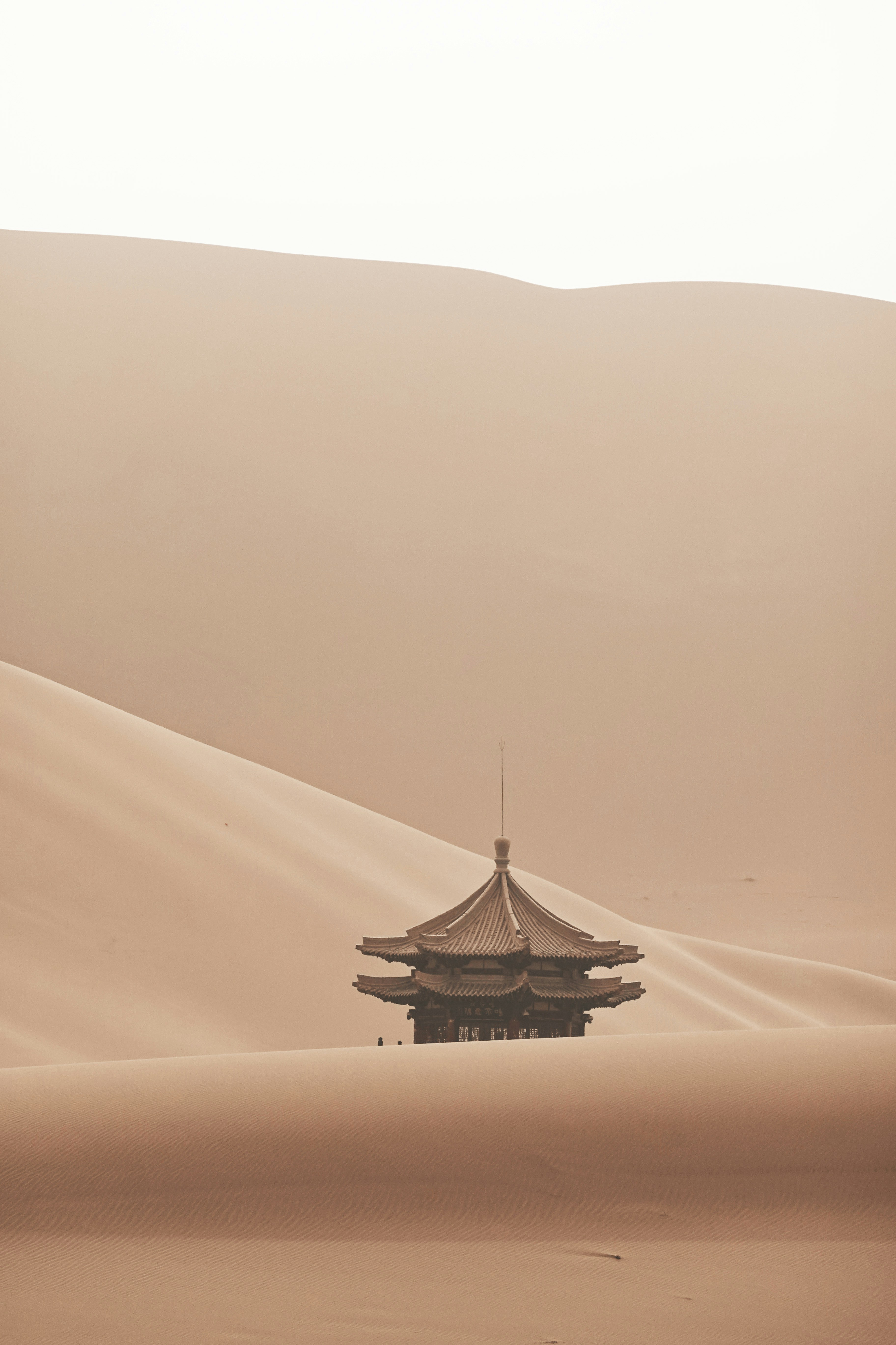 Photo by Kinsey Wang with Sony RX100 VII