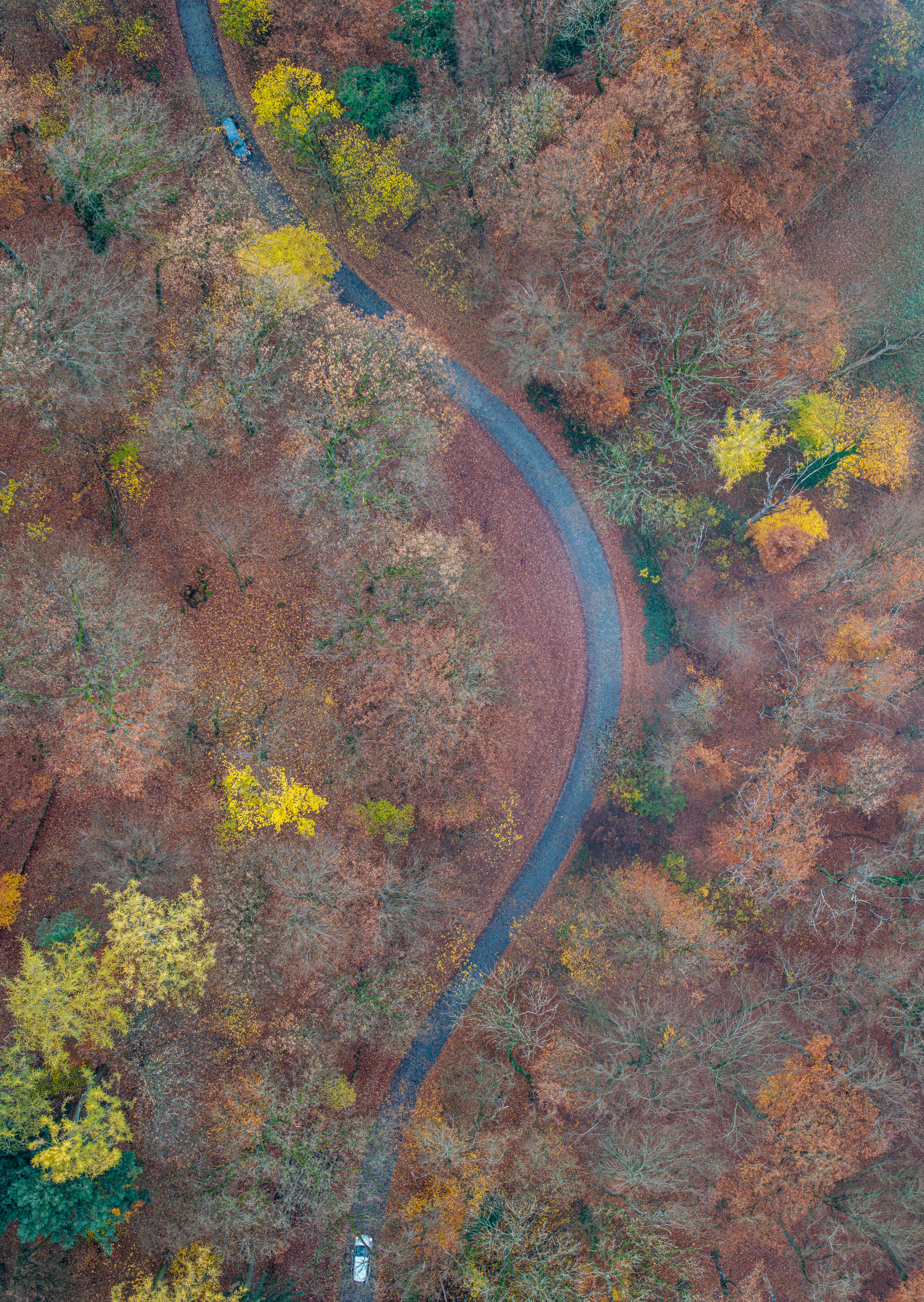 Photo by Bernd 📷 Dittrich with DJI Air 3S