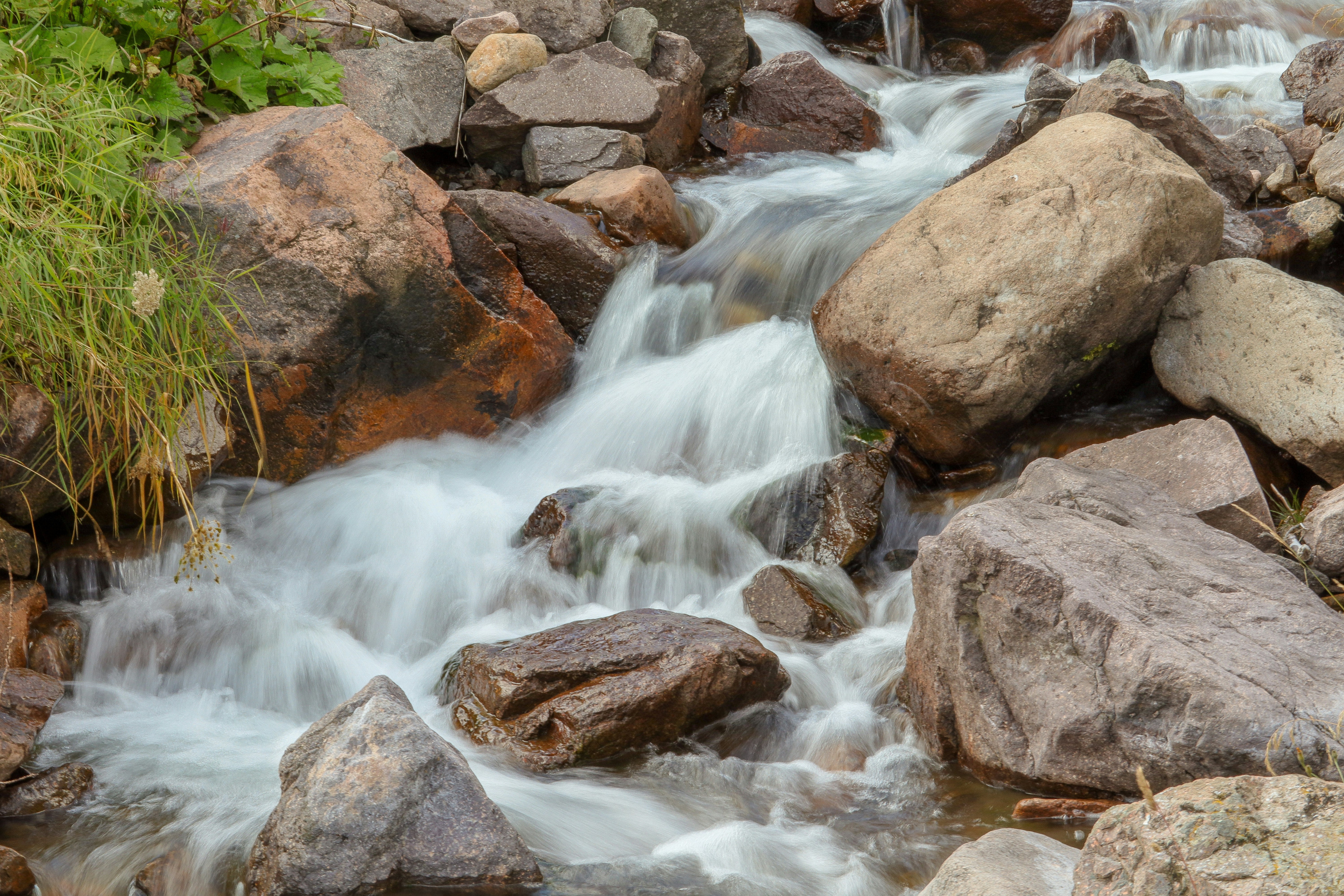 Photo by MAURO FOSSATI with Canon EOS R100