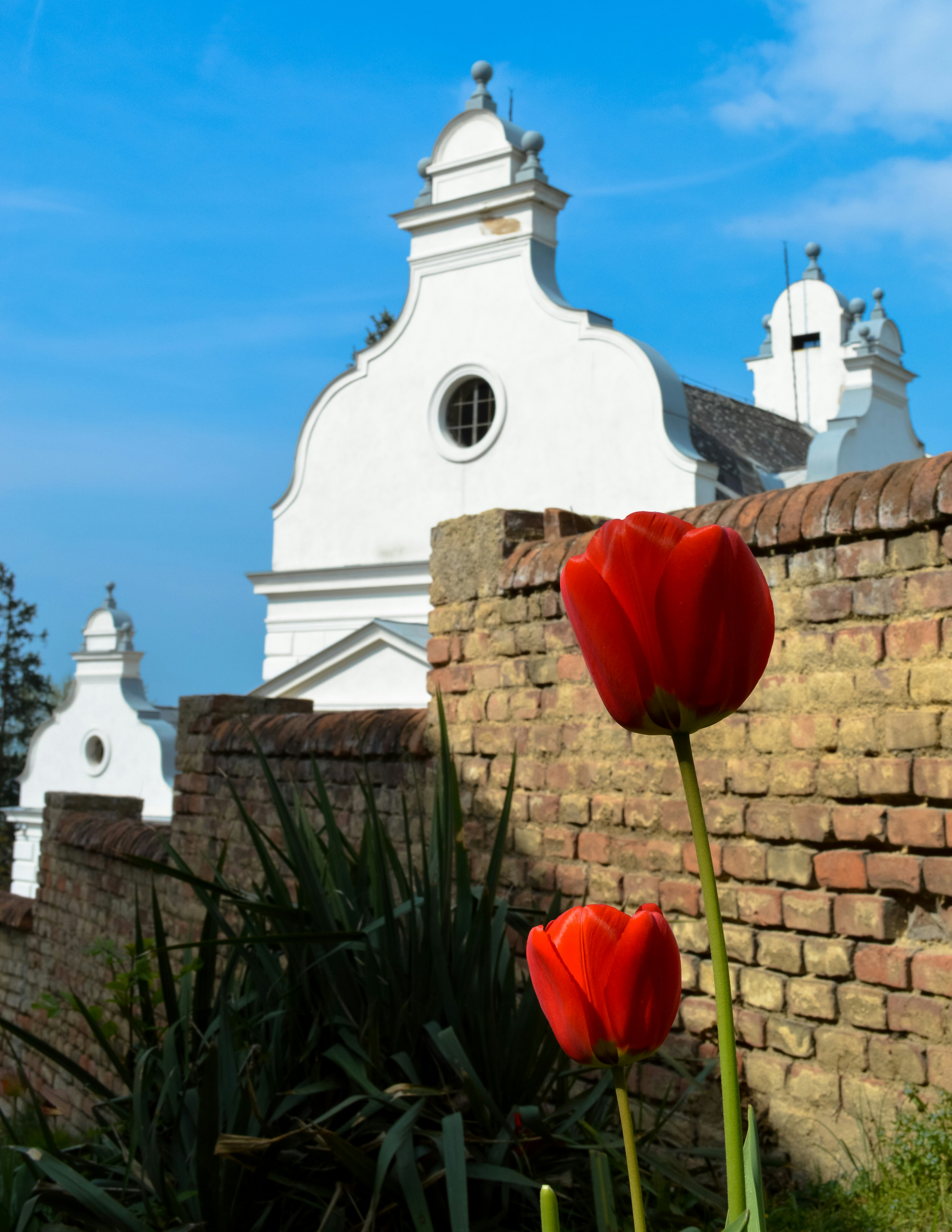 Photo by Jan Suchánek with Nikon D3200