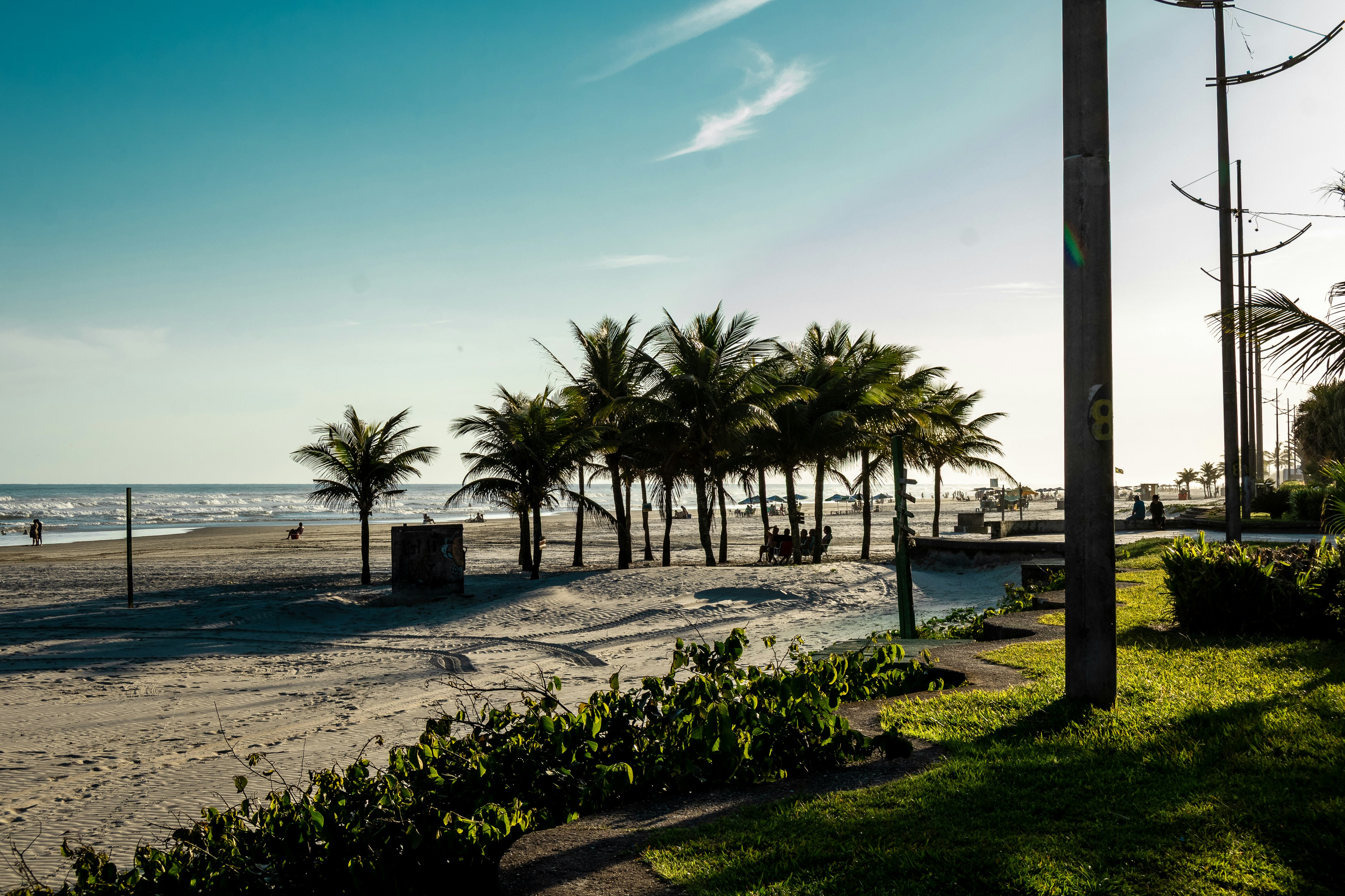 Tropical dusk: calm waves, silhouetted palms, people enjoying the beach.