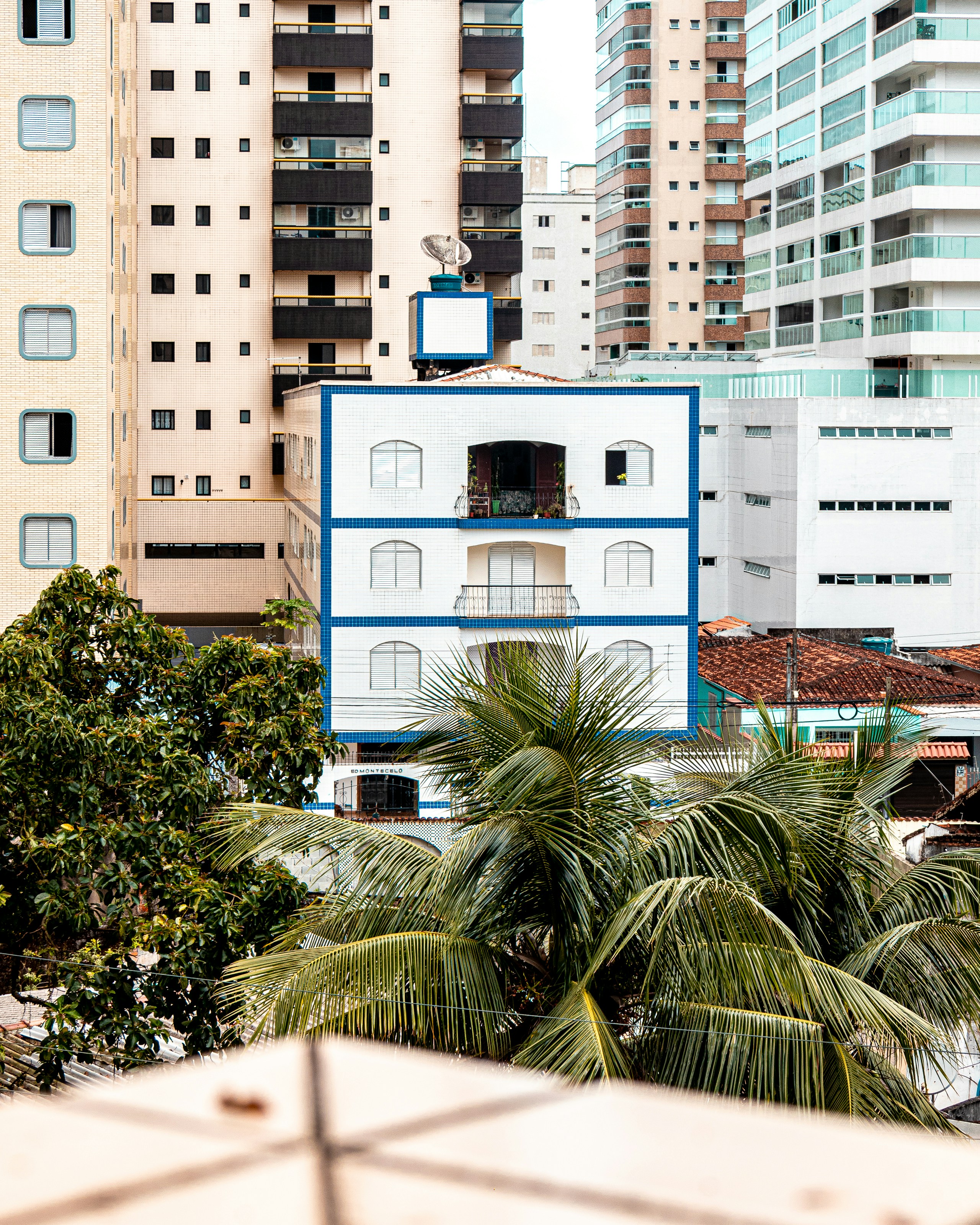 Urban layers: towering buildings, intricate architecture, lush palms, vibrant city life.