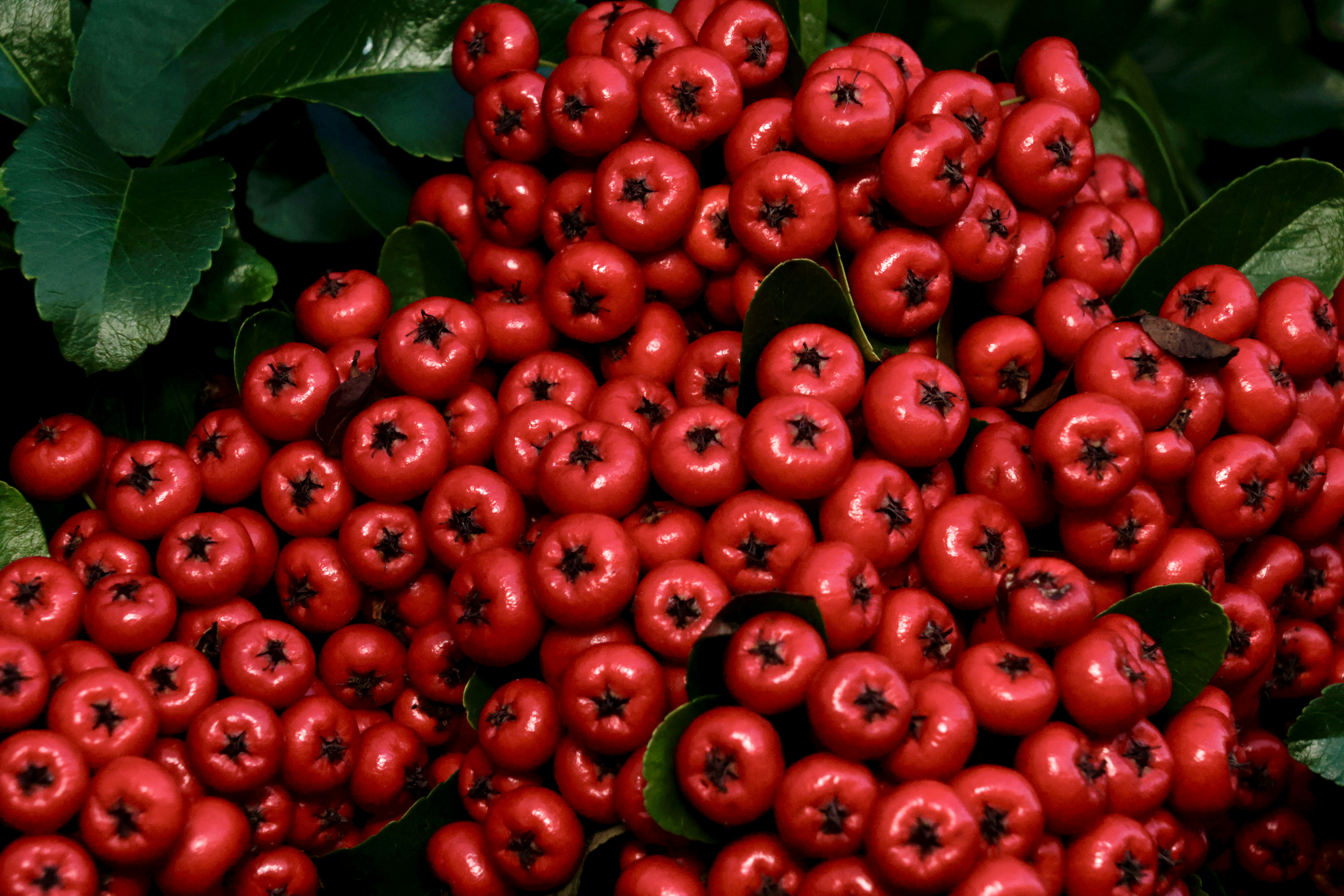 Photo by James Wainscoat with Canon EOS R5