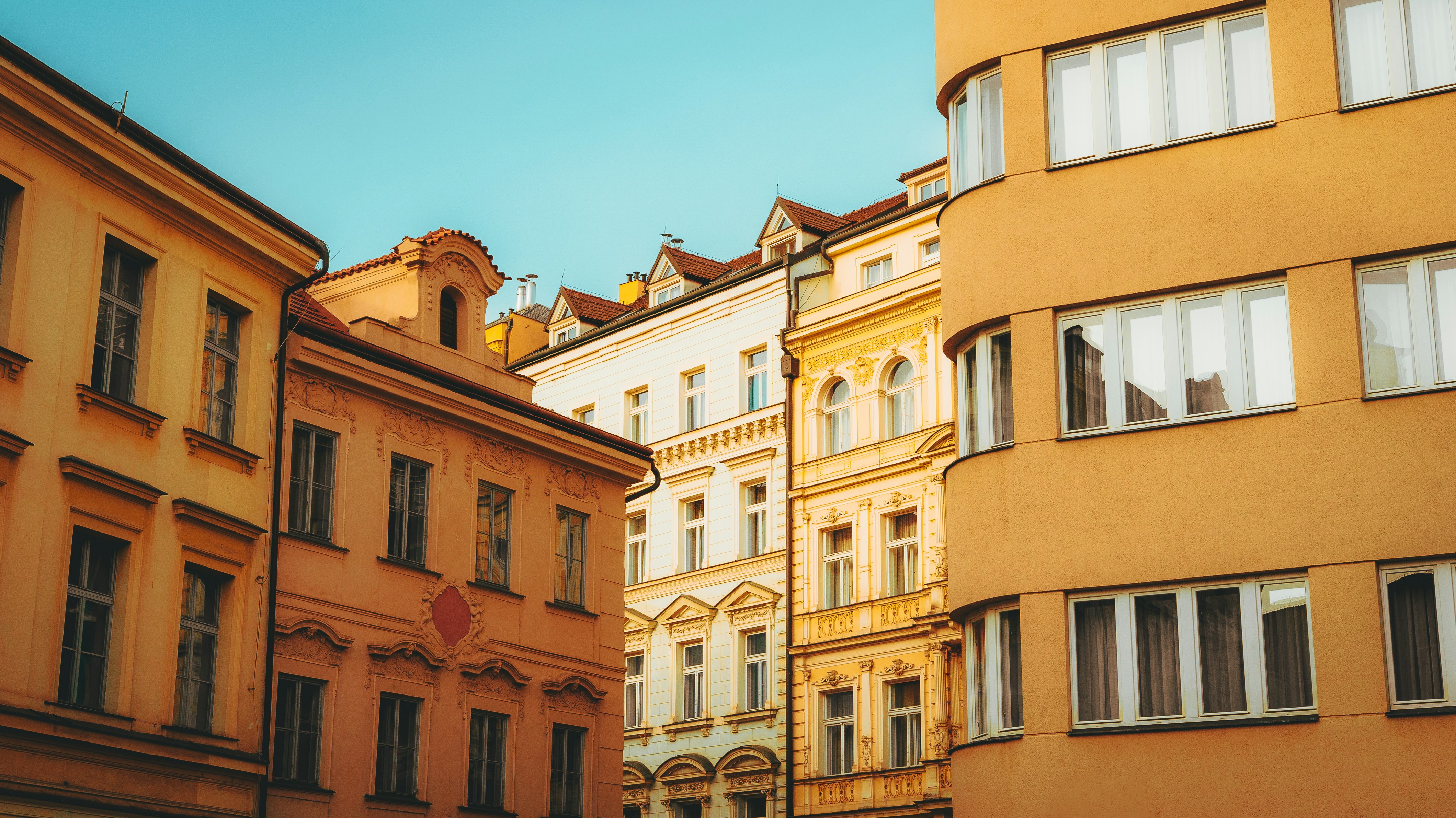 Photo by Heron Rossato with Sony Alpha 7S II