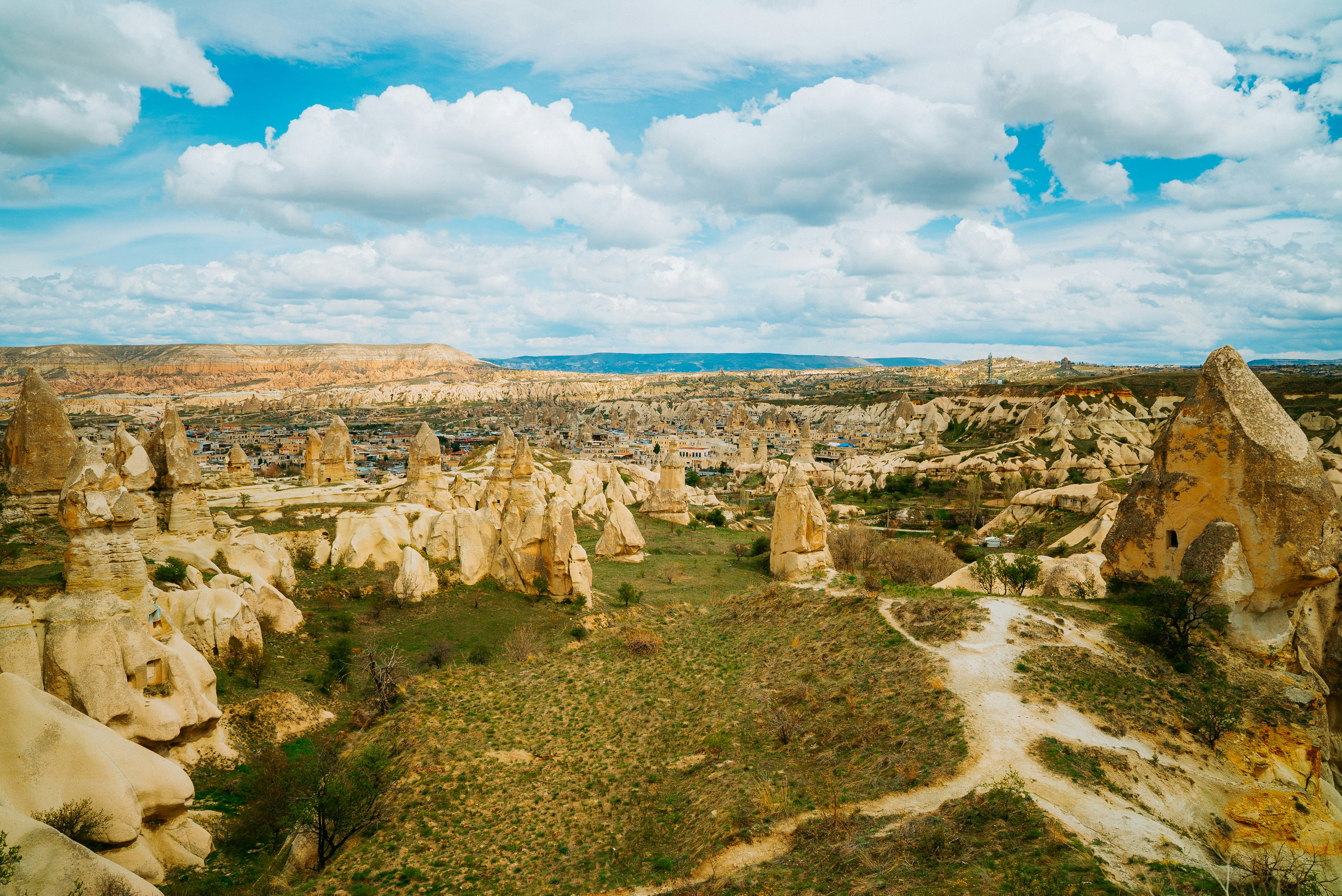 Photo by Heron Rossato with Sony Alpha 7S II