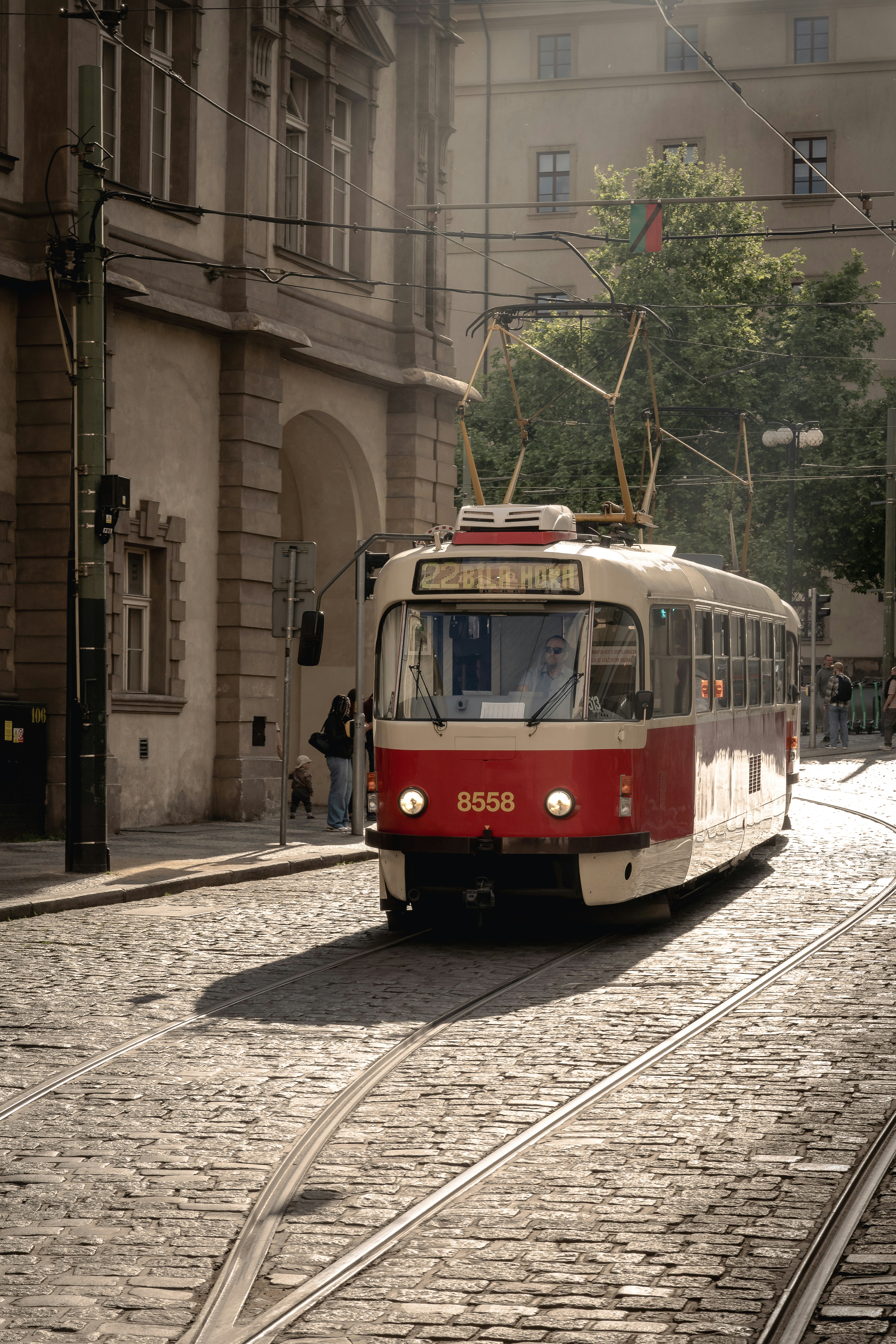 Photo by Bernardo Lorena Ponte with Nikon Z7