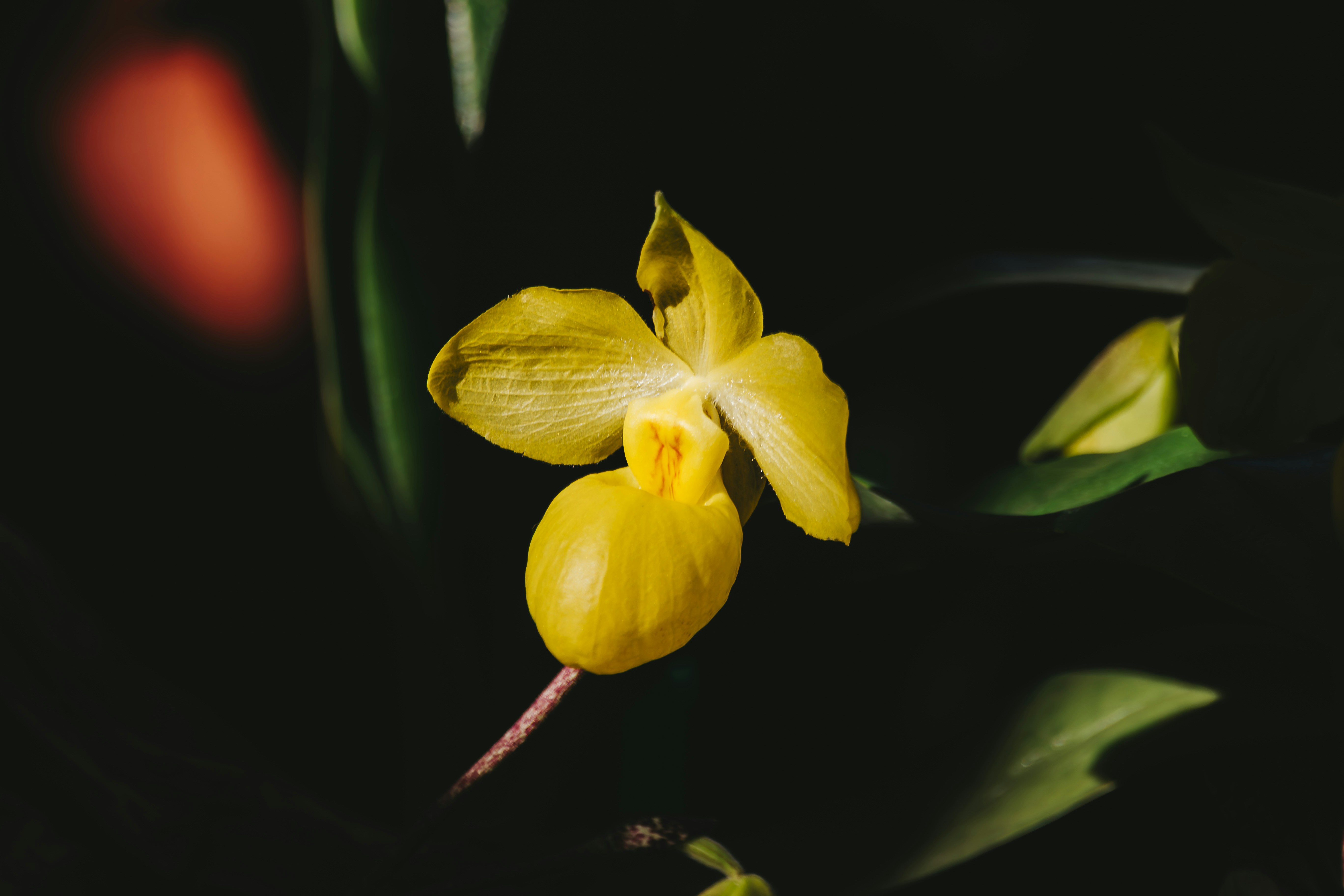 Photo by Jason Sung with Canon EOS 70D