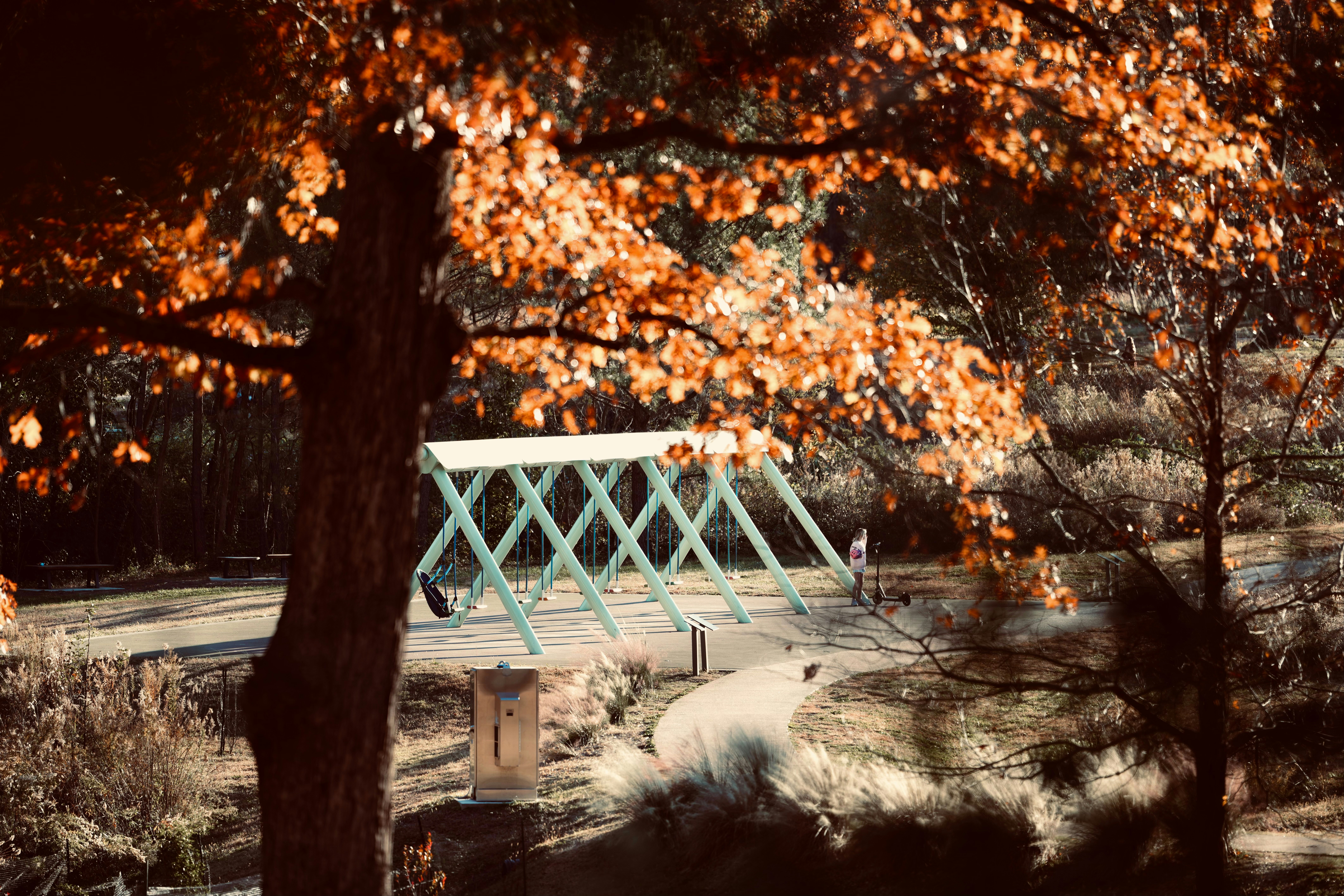 Teal Rails in Ember Light: A Quiet Autumn Park Moment