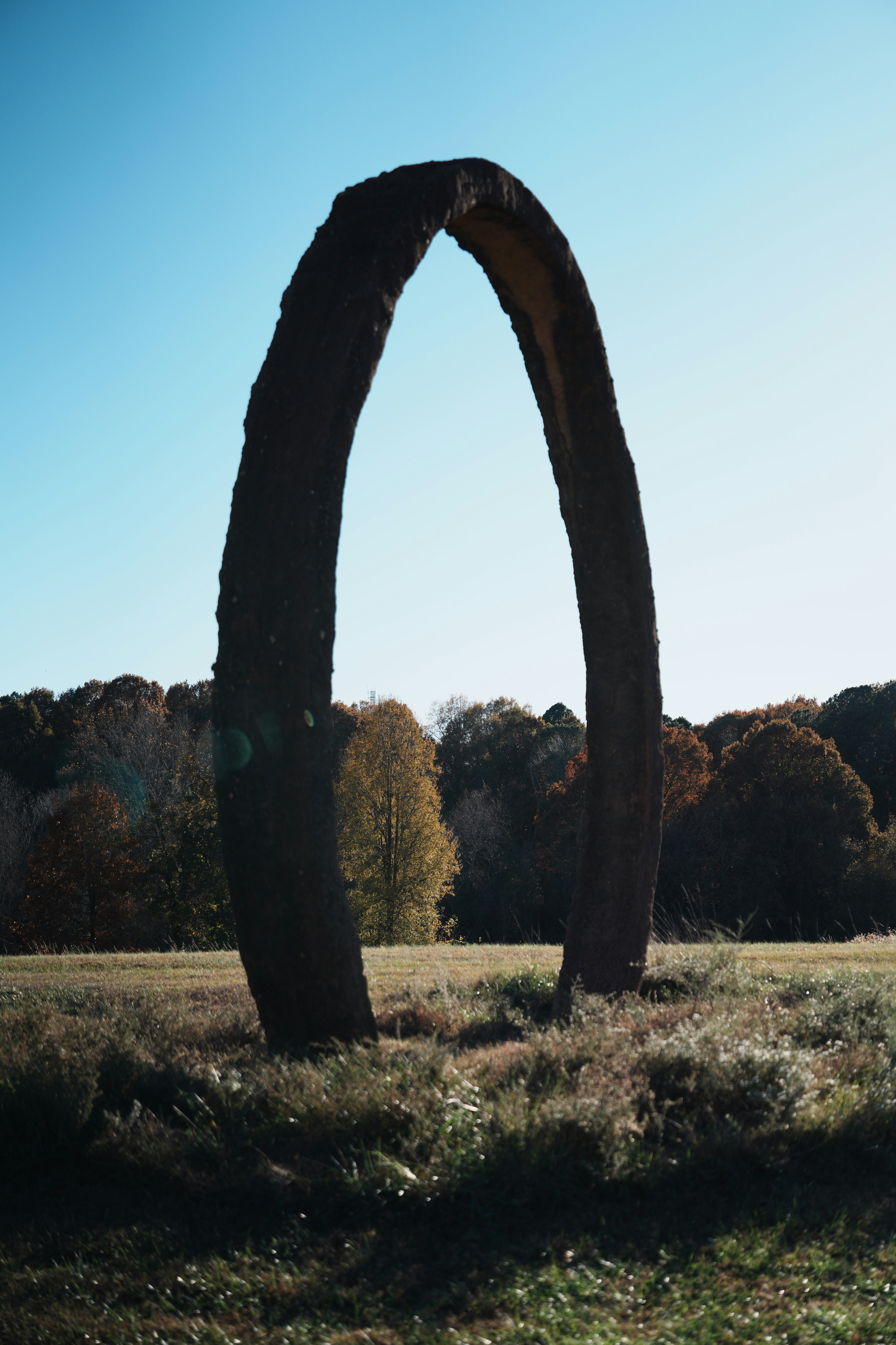 Photo by Joey Zhou with Sony Alpha 7R V