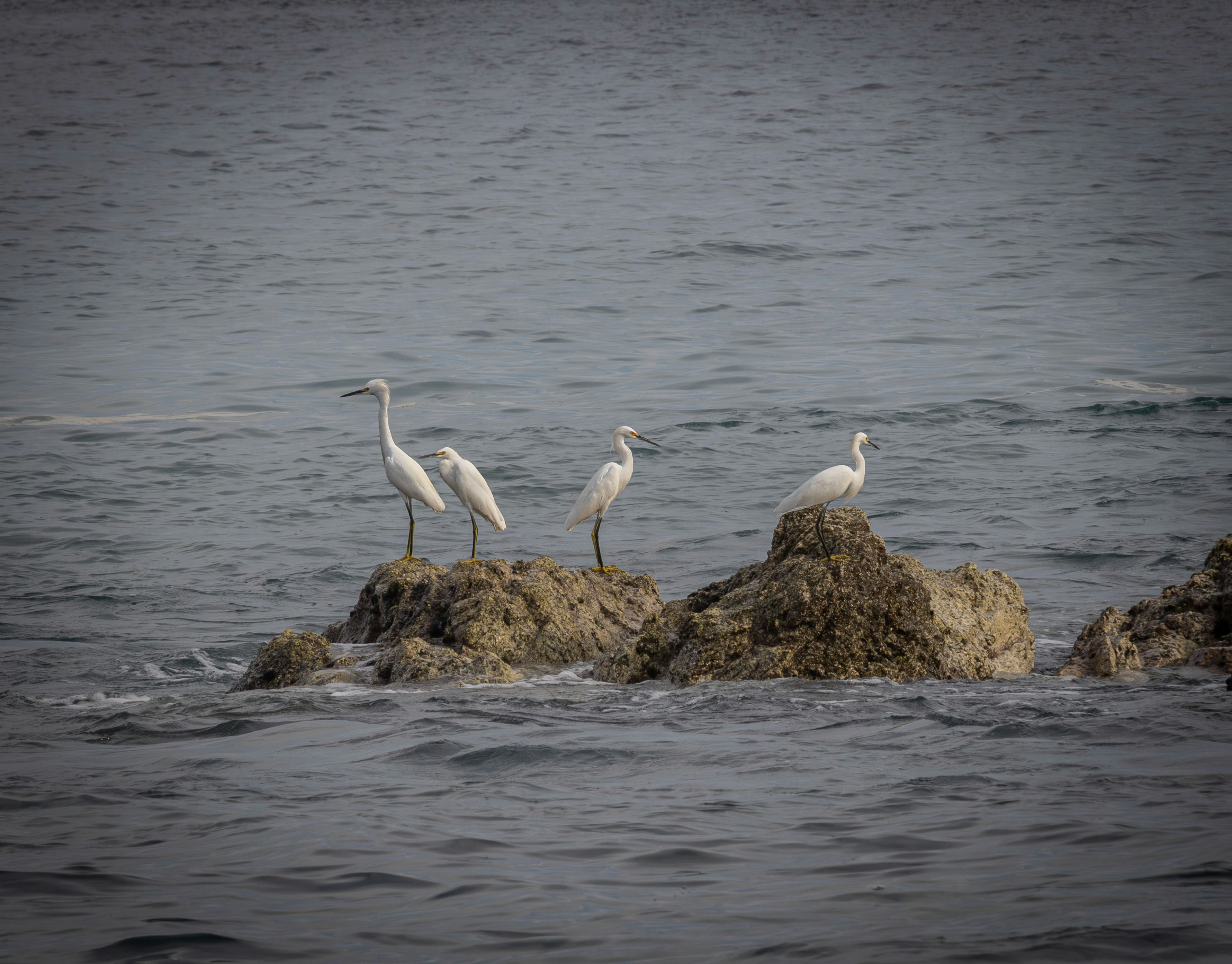 Photo by Alfonso Betancourt with Canon EOS R